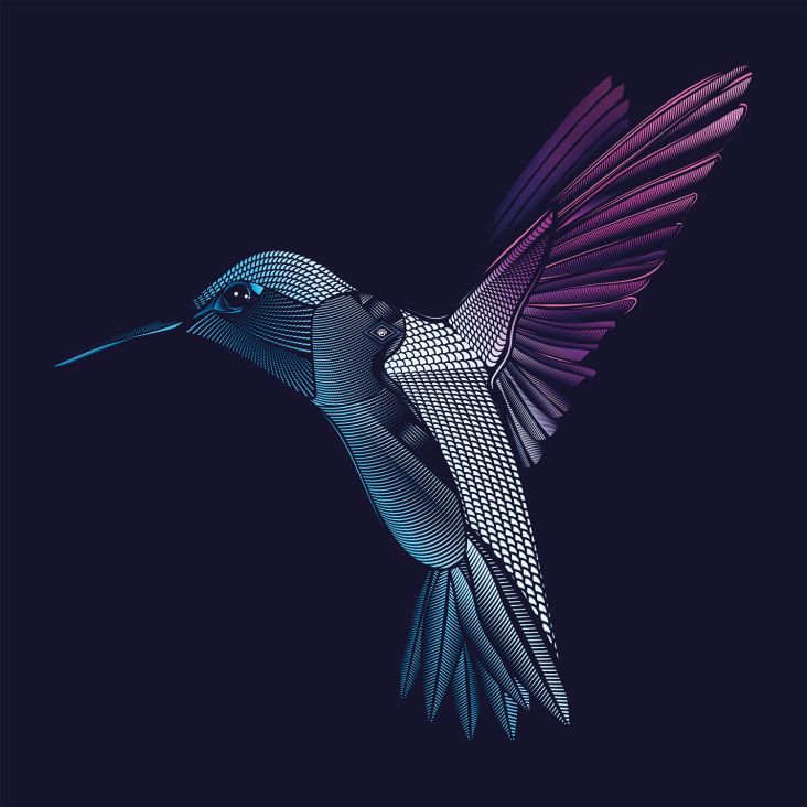 60 of the best graphic designers to follow on Behance | Creative Boom