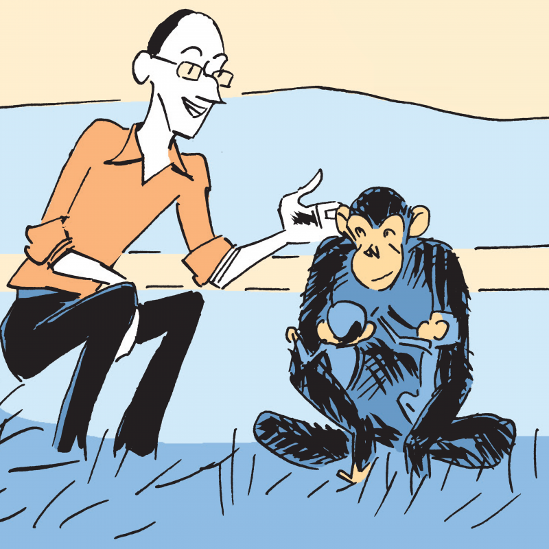 How Sapiens became a comic book guide to the history of mankind ...