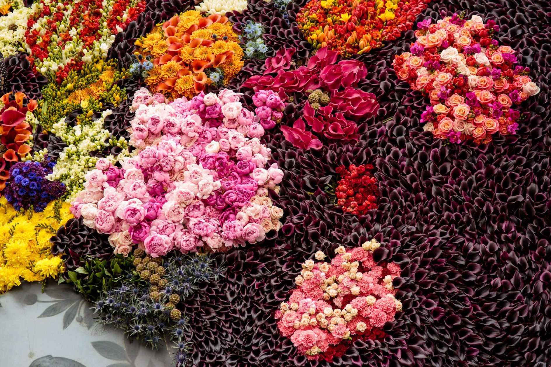 Giant living painting with 26,500 real flowers unveiled at London's ...