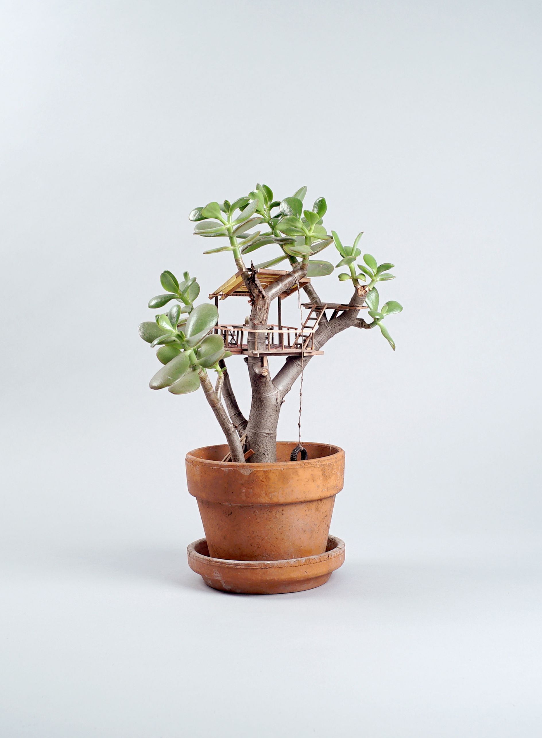 Artist crafts miniature treehouse sculptures to sit within ordinary ...
