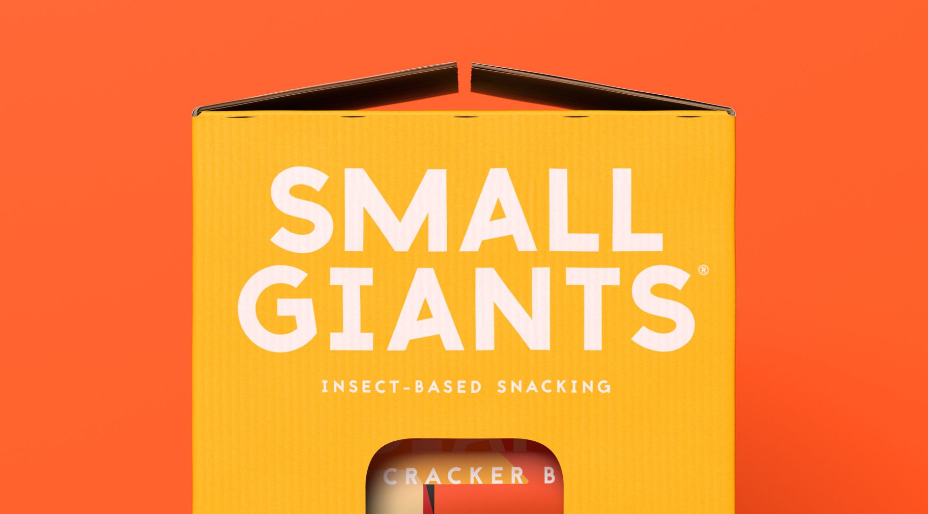 Midday's new identity for Small Giants makes insect snacking more ...