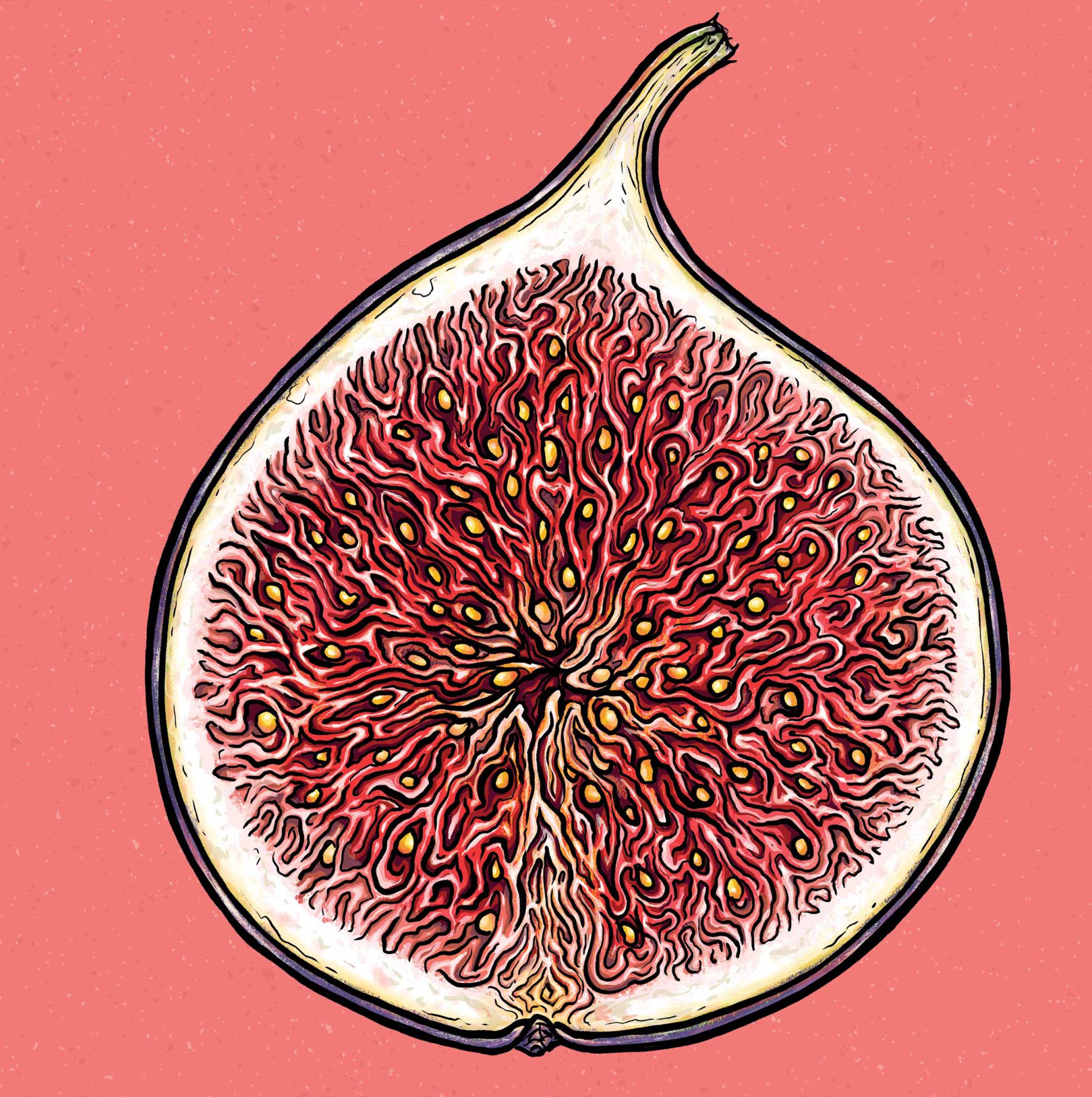 Food illustrator Tom Hovey talks Bake Off, Bristol and building a ...