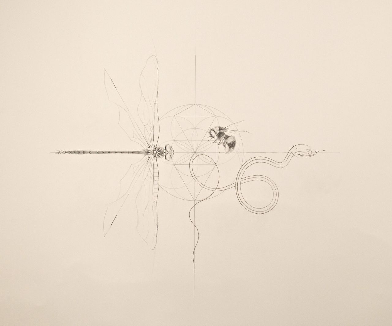 Creation: Artist Jessica Albarn creates a living meadow and turns land ...