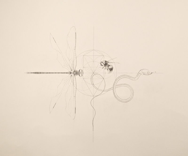 Creation: Artist Jessica Albarn creates a living meadow and turns land ...