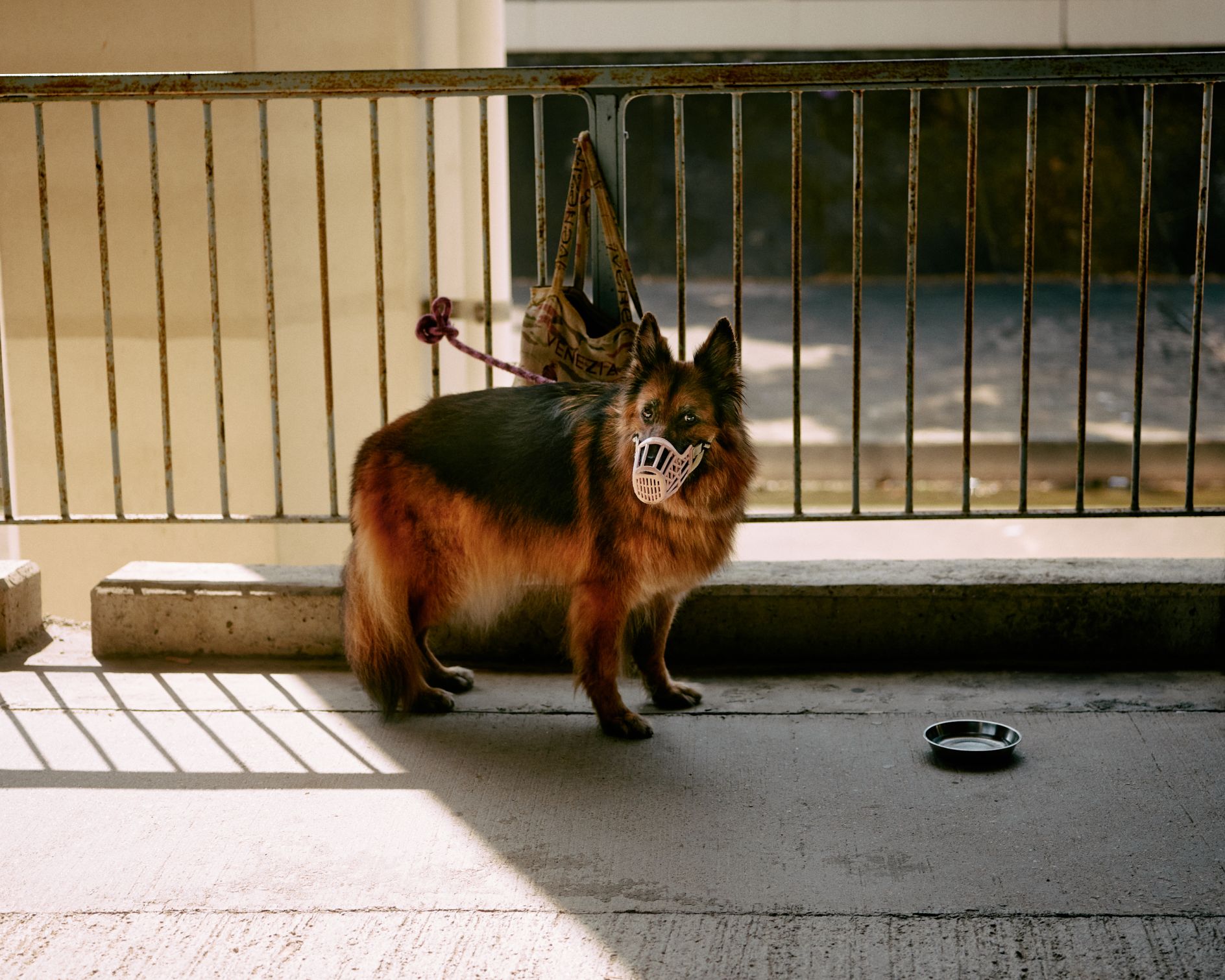 So Long Hong Kong, So Long: Photographs of the mass migration of 2020 ...