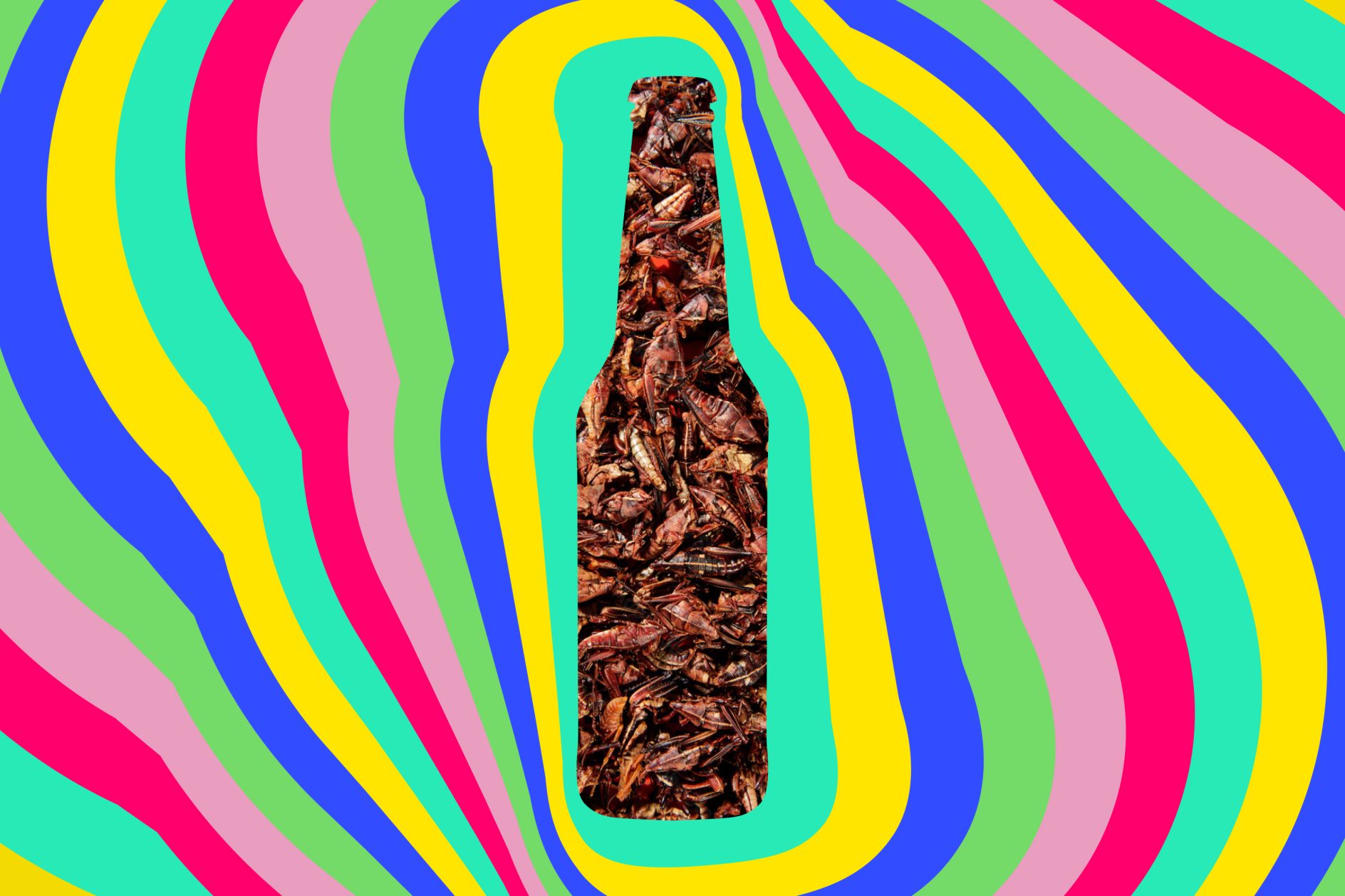 Bala crafts a radical label for category-first grasshopper beer ...