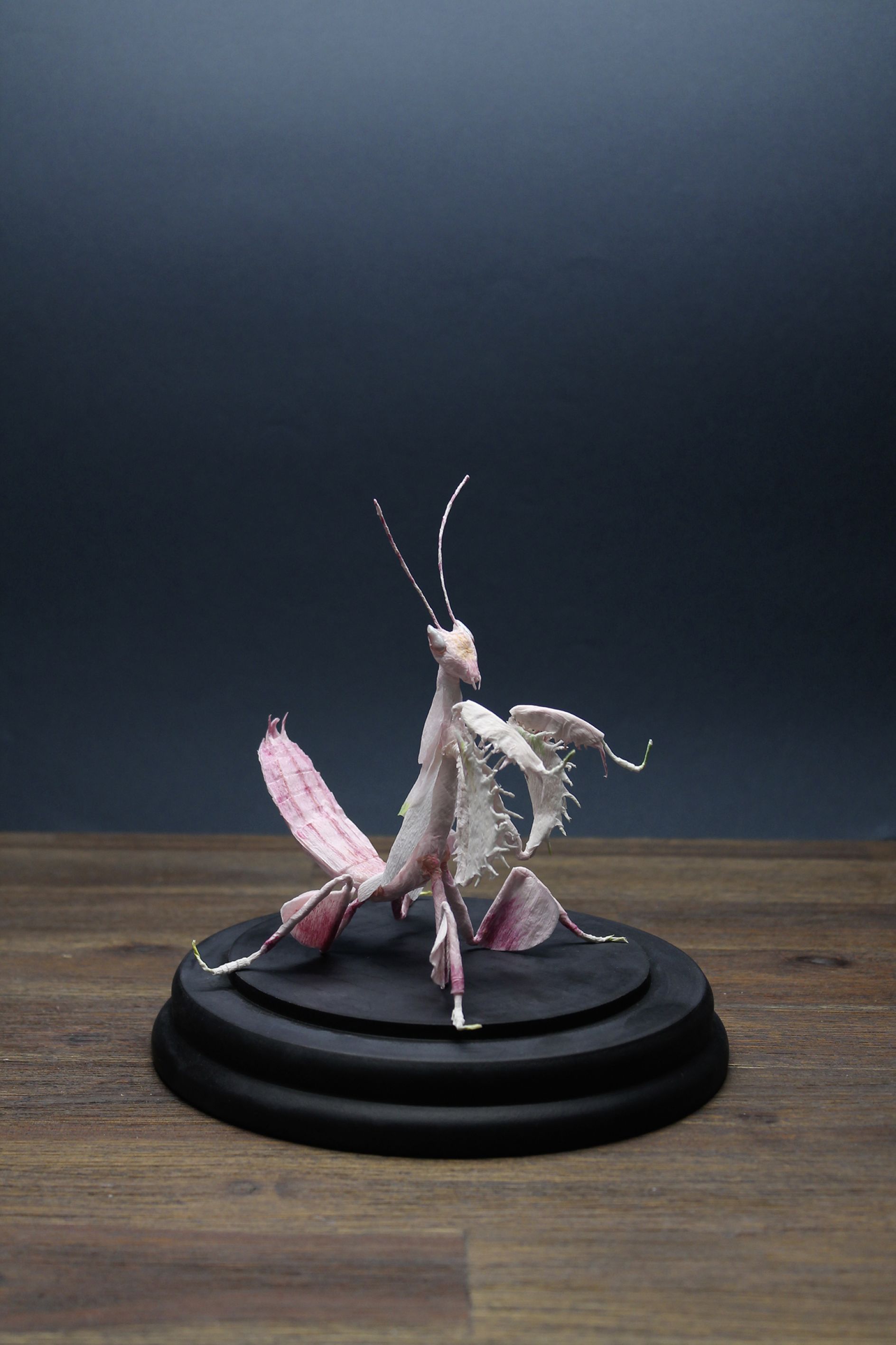 Life-like paper insects painstakingly made from fine crepe paper ...