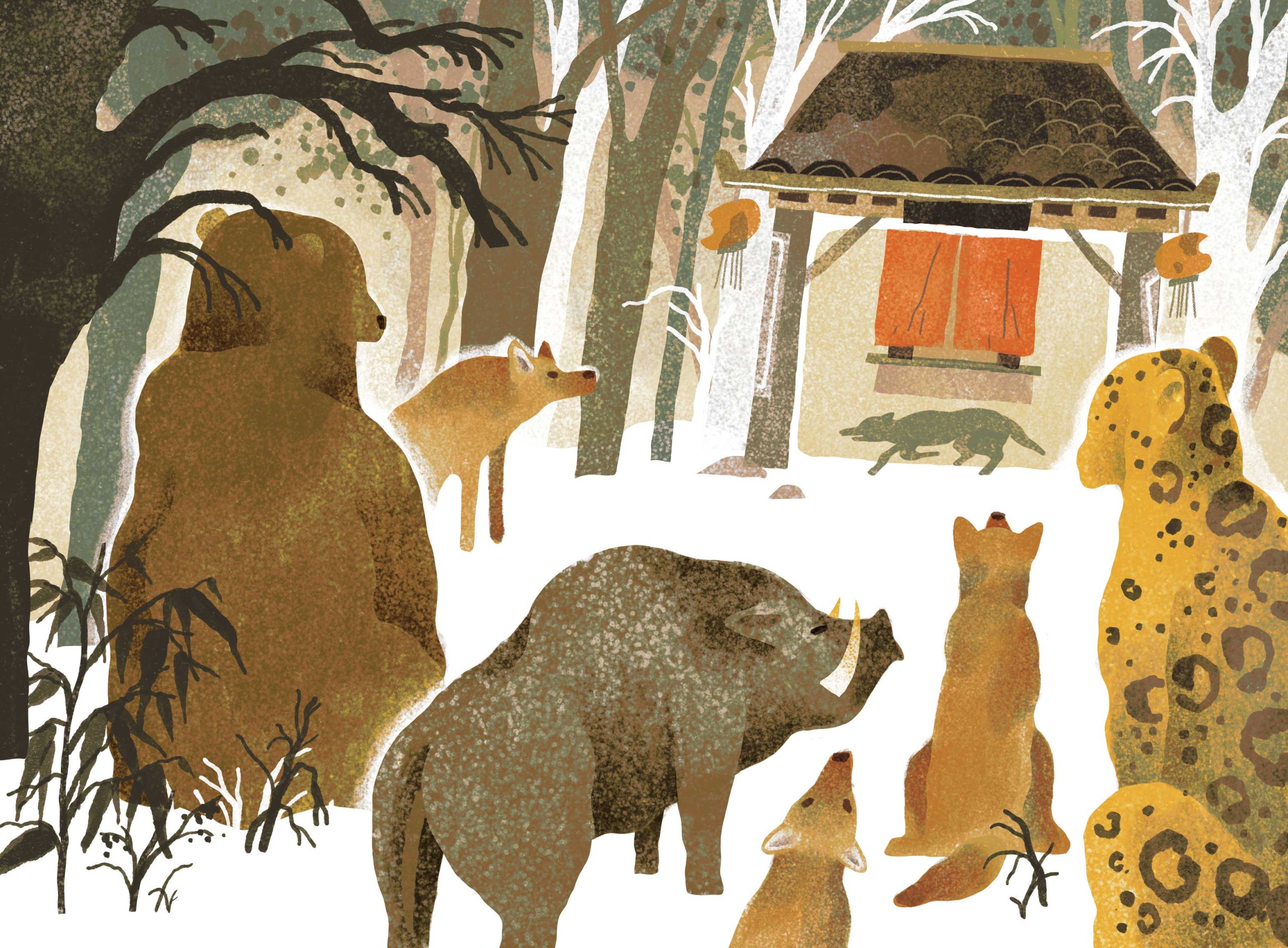 Illustrator Wenjia Tang's first fiction book is a beautiful exploration ...