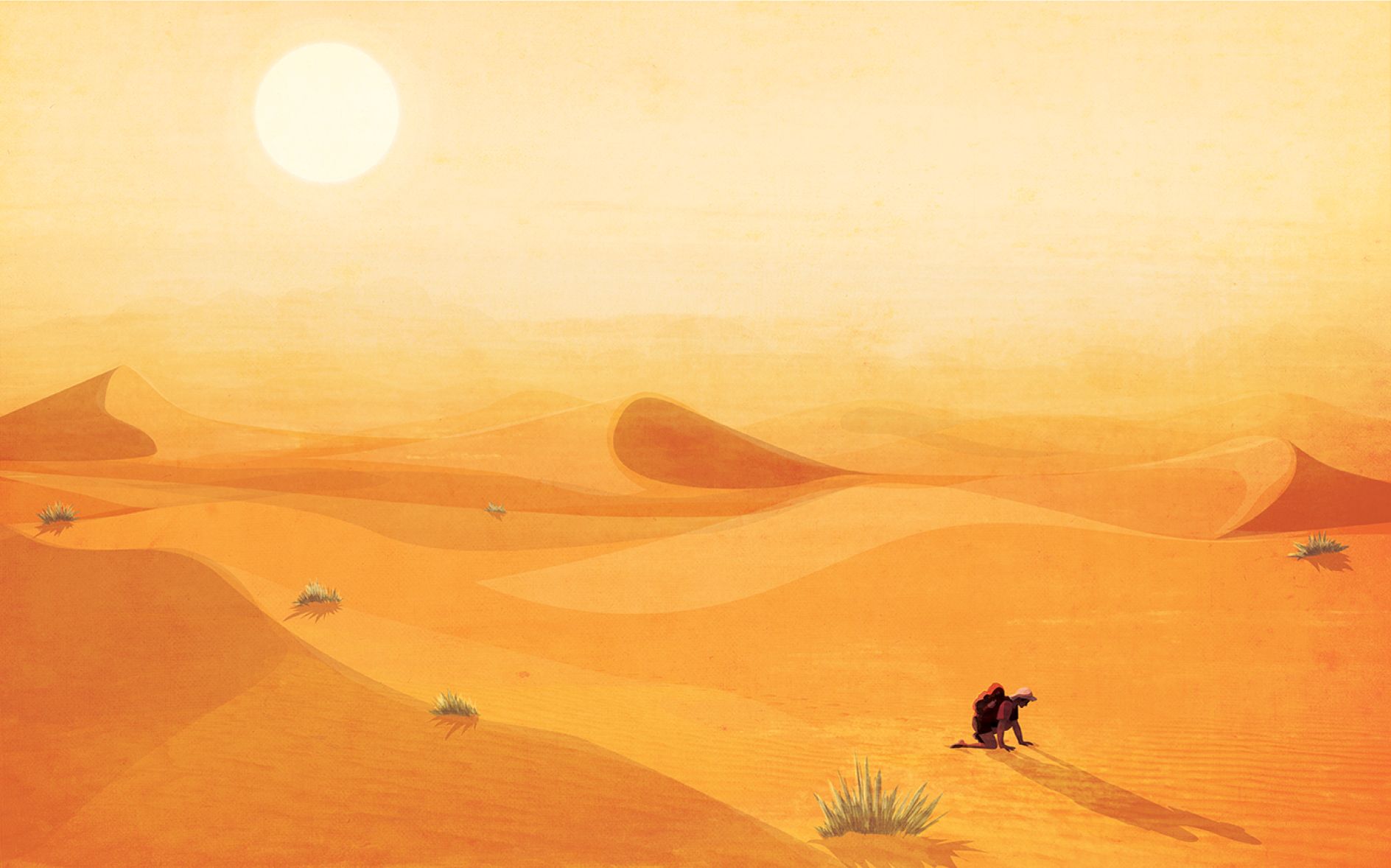 Kerry Hyndman illustrates Survivors, an award-winning book on inspiring ...