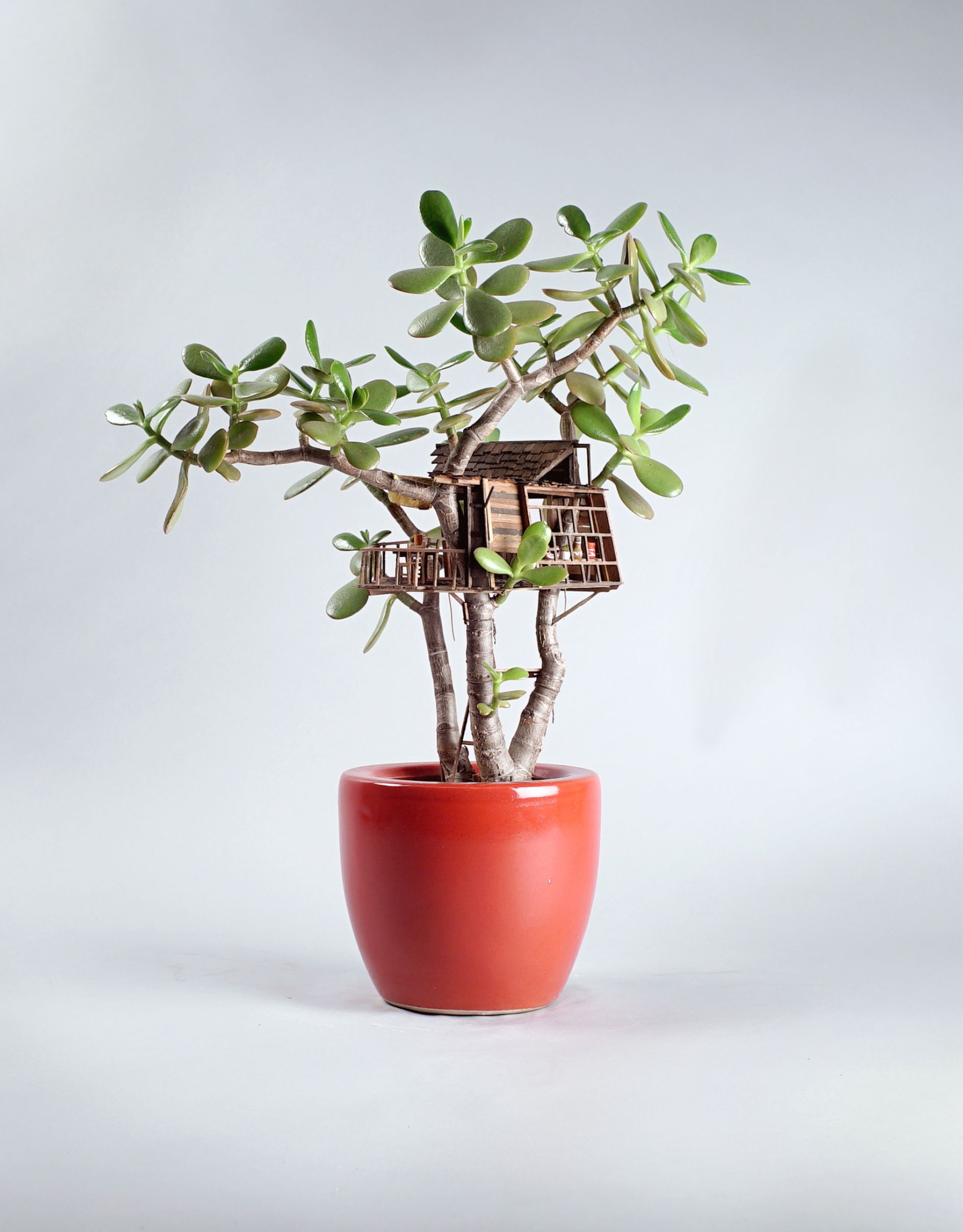 Artist crafts miniature treehouse sculptures to sit within ordinary ...