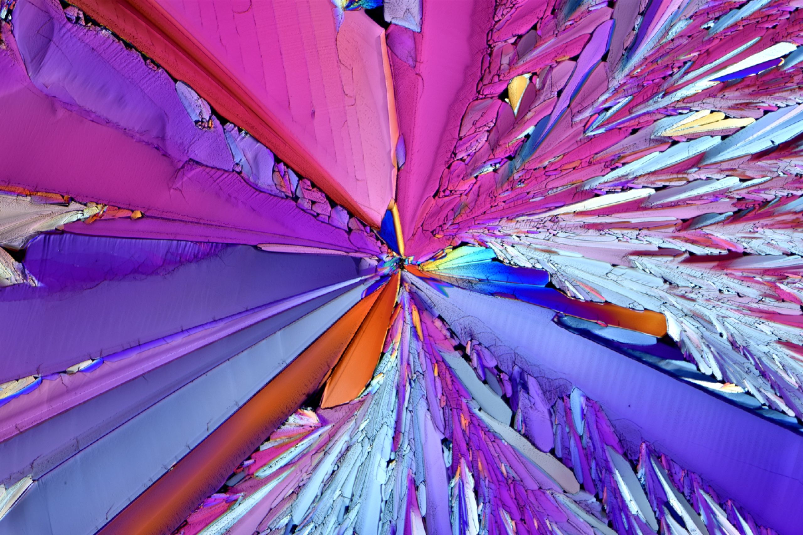 Stunning showcase of photographs celebrate the wonders of the ...