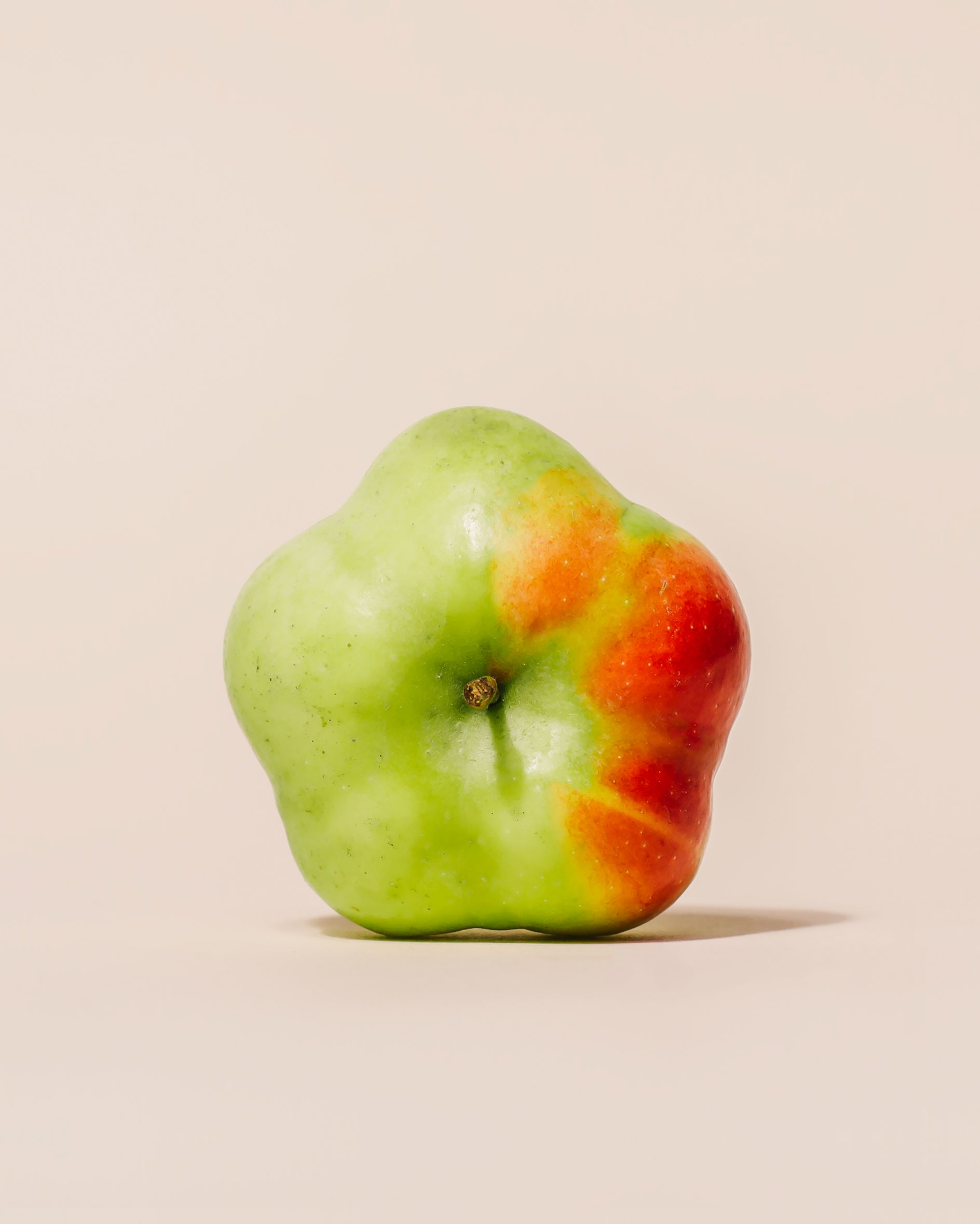 Odd Apples: Photographs by William Mullan of some of the world's ...