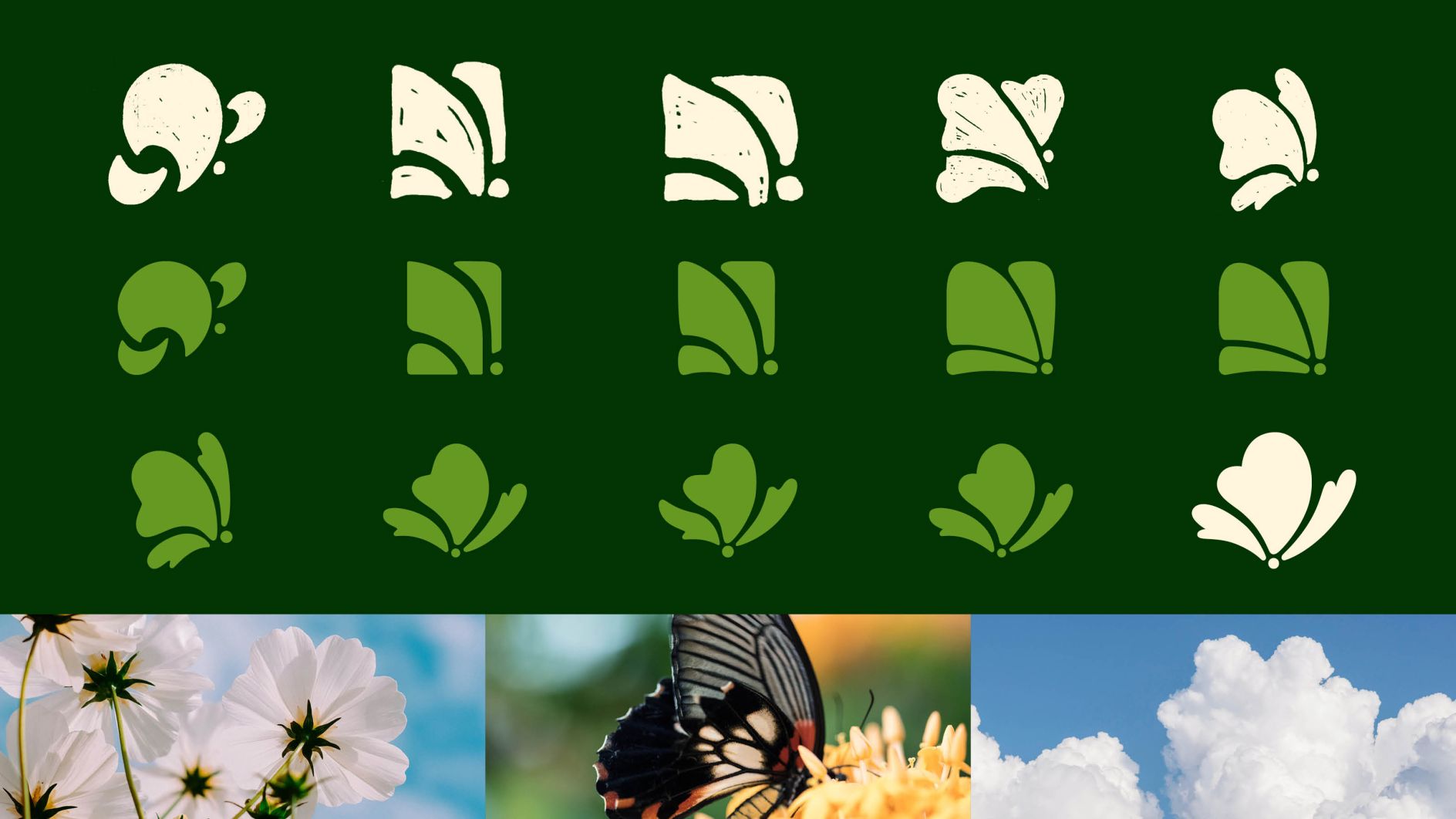 Span takes influence from Illinois's native prairies for Chicago's ...