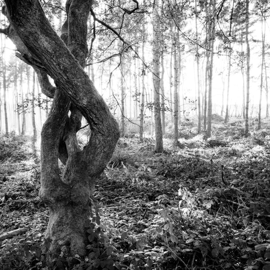 The Photography Show launches new campaign to support female ...