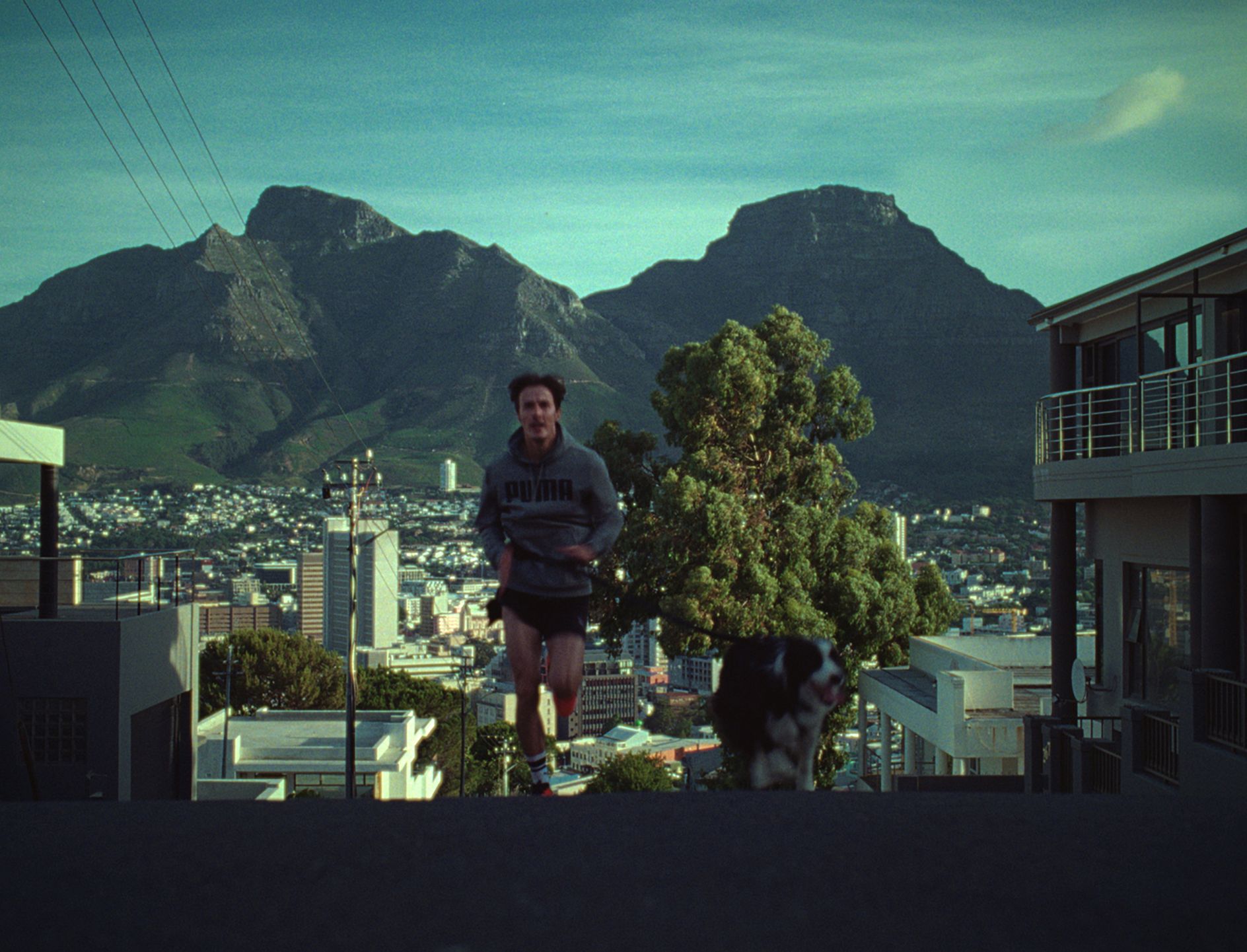 PUMA goes wild with new global campaign | Creative Boom