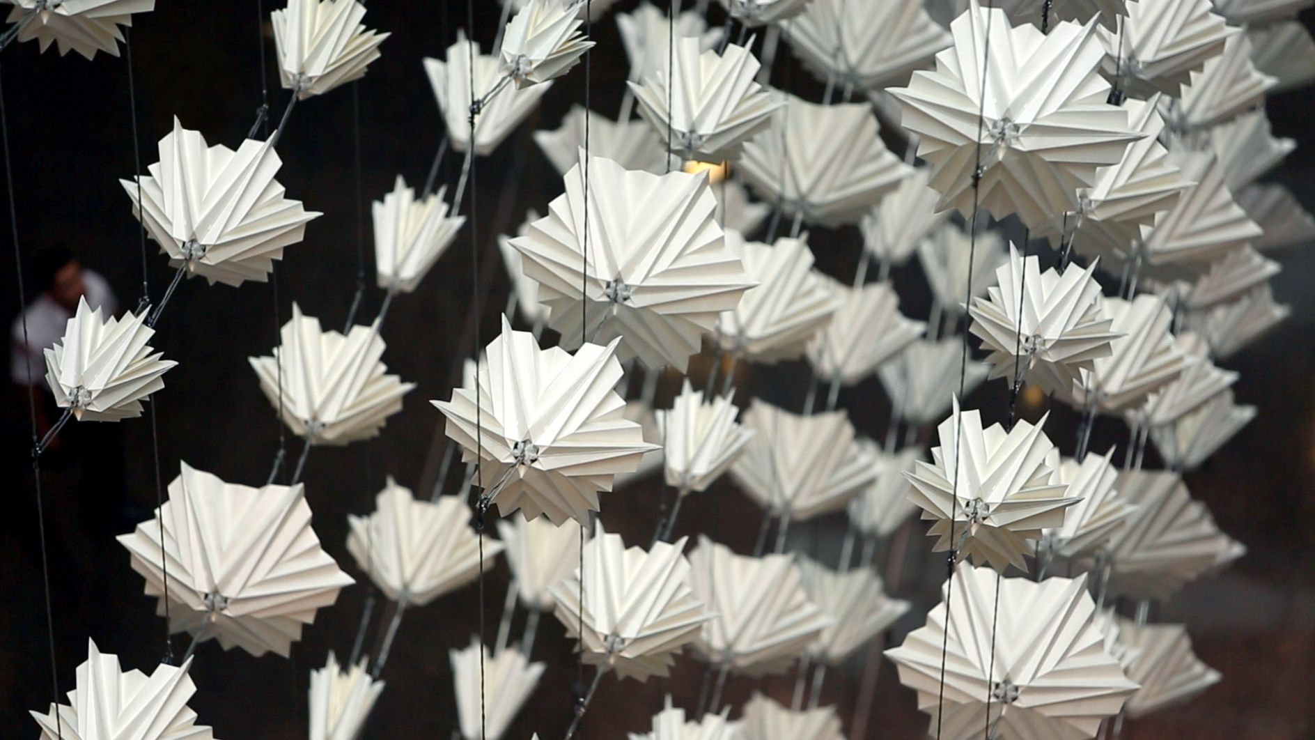 Mesmerising kinetic sculpture that mimics the movement of a flock of ...
