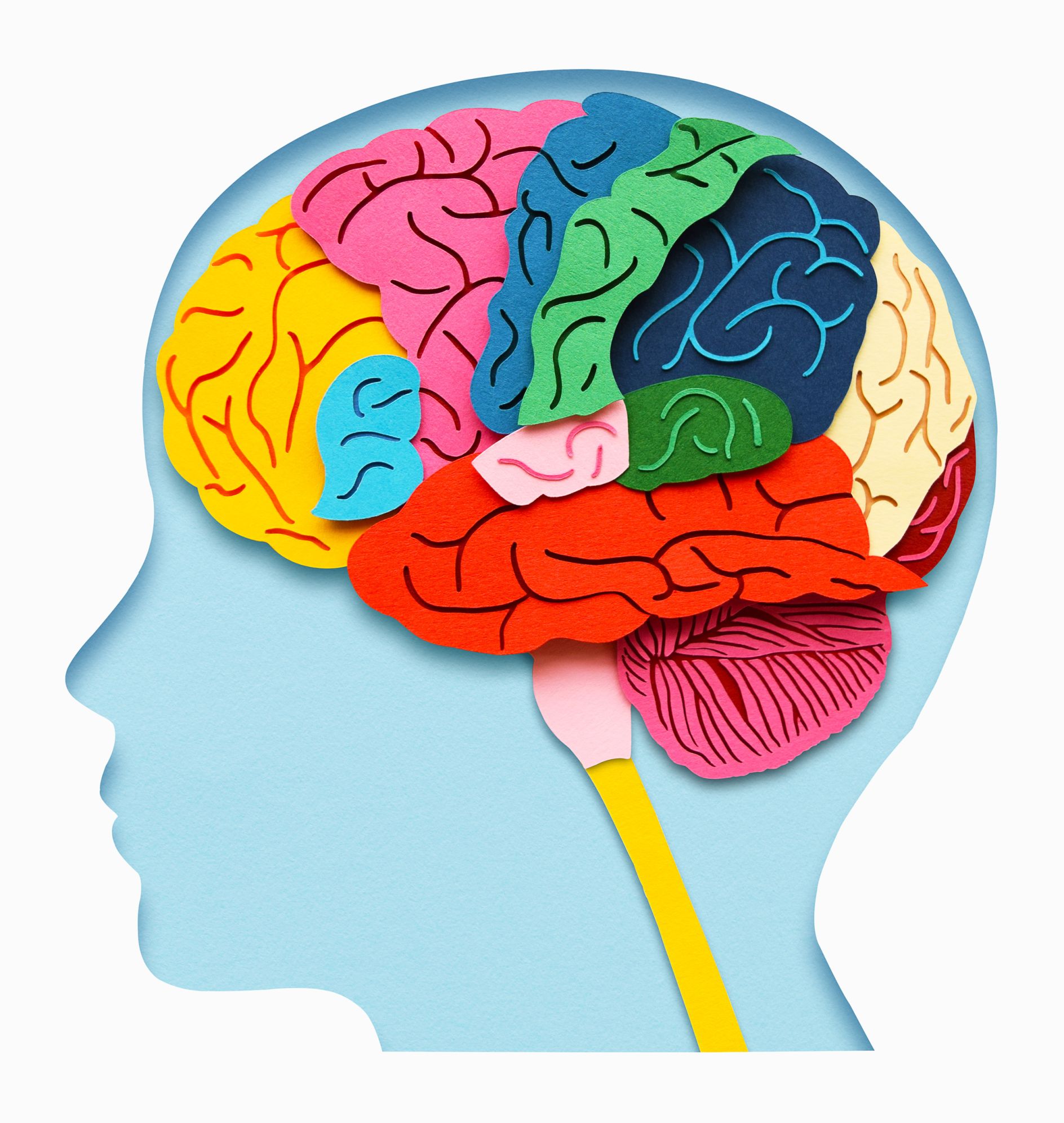 My Amazing Body Machine: Paper-cut artworks of the human anatomy ...