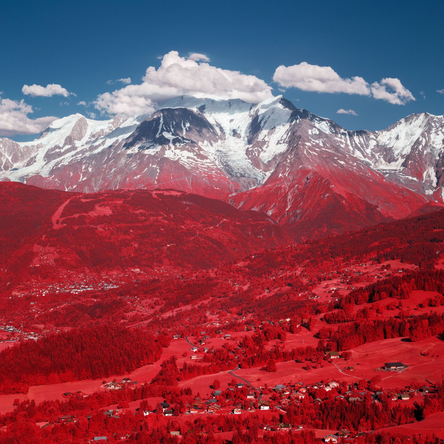Infrared photographs reminiscent of the French flag paint a patriotic ...