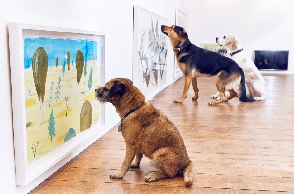 Play More: The world's first art exhibition for dogs courtesy of ...