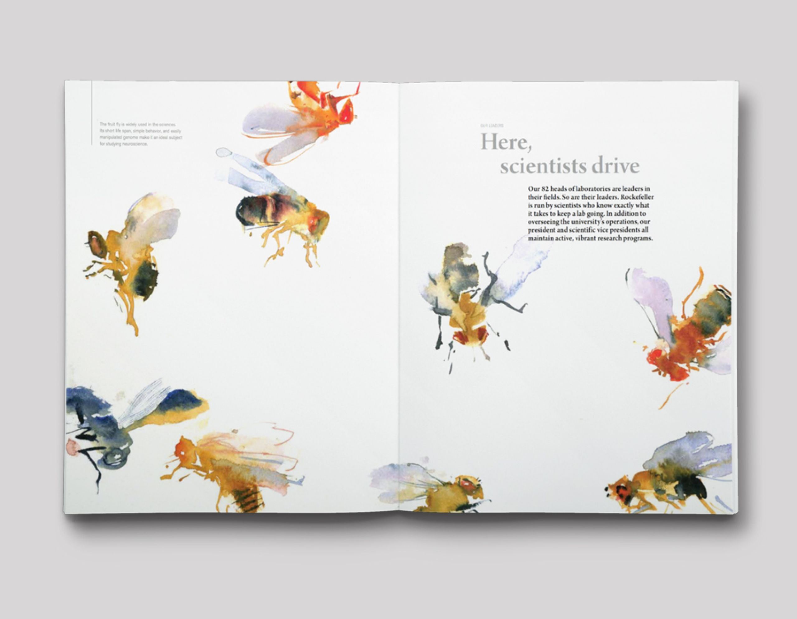 C&G takes biomedical scientific imagery and transforms into art for ...