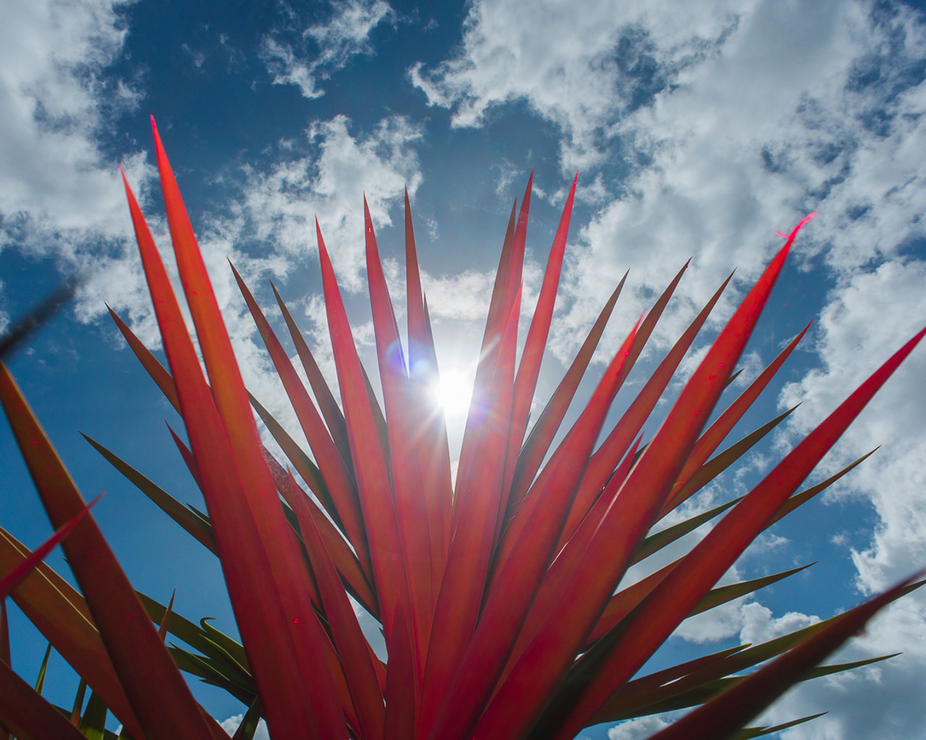 Mexico Surreal: Travelling photographer shines fresh light on Mexican ...