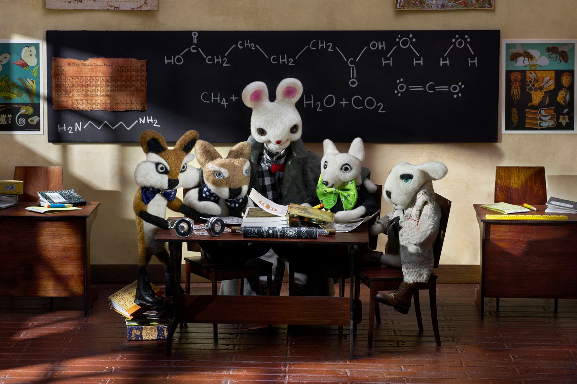 Inquisitive Creatures: Photographs that tell the story of four friends ...