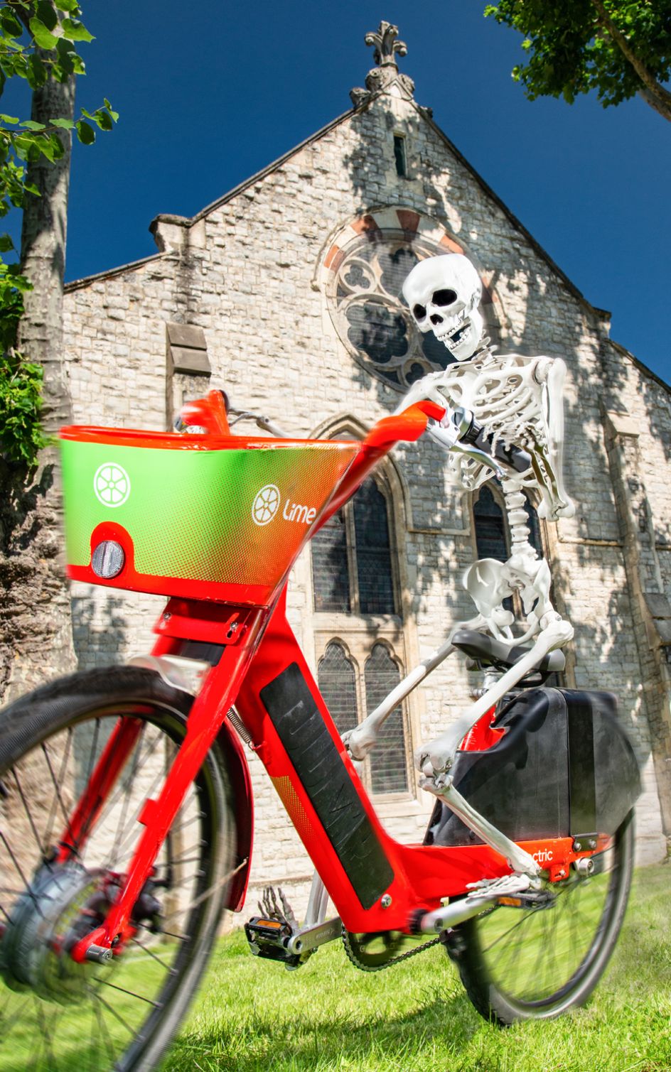 Alexander Coggin and Alice Ray discuss their bizarre and joyful series ...