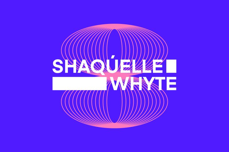 Introducing: Shaqúelle Whyte on soft worldbuilding and capturing small ...
