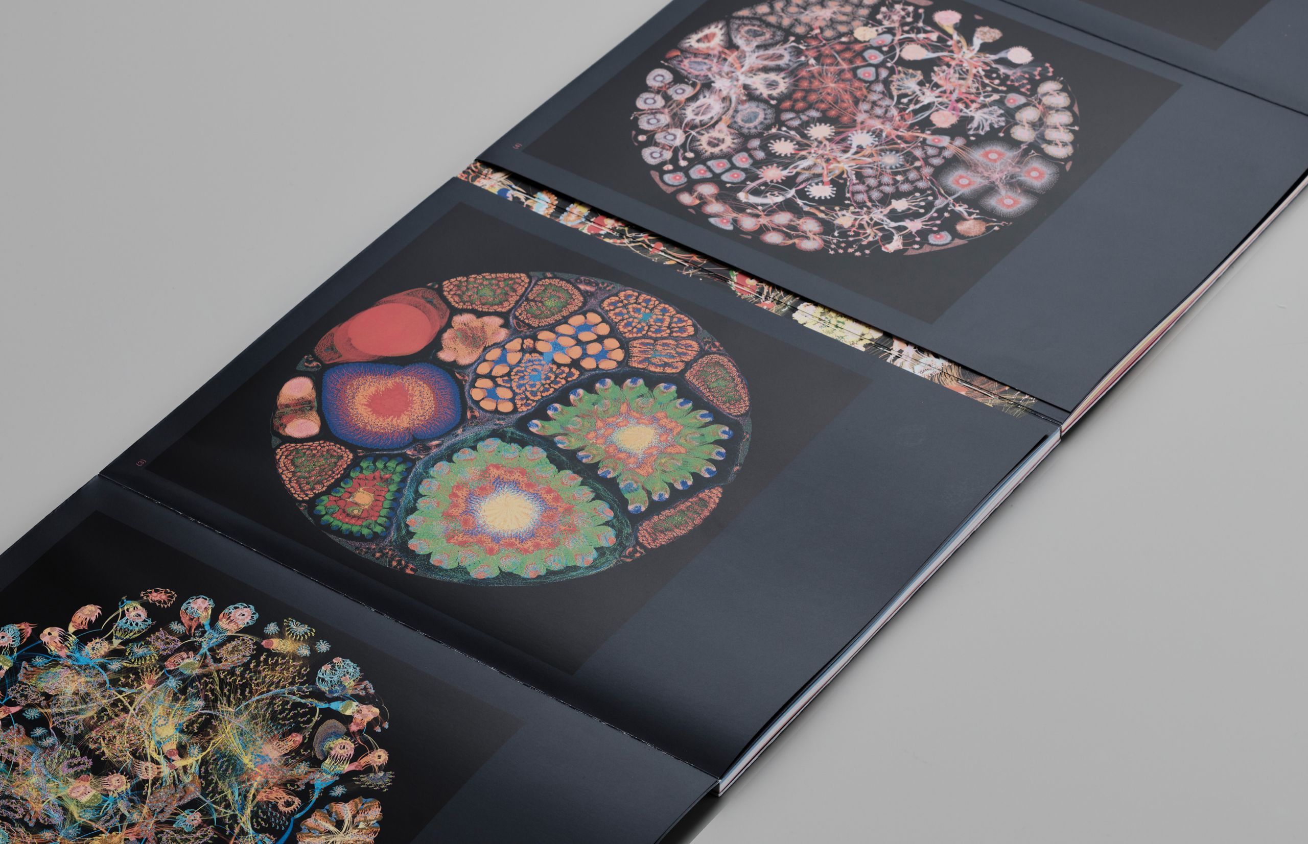 The Companio: new book designed by Pentagram finds the human side to ...