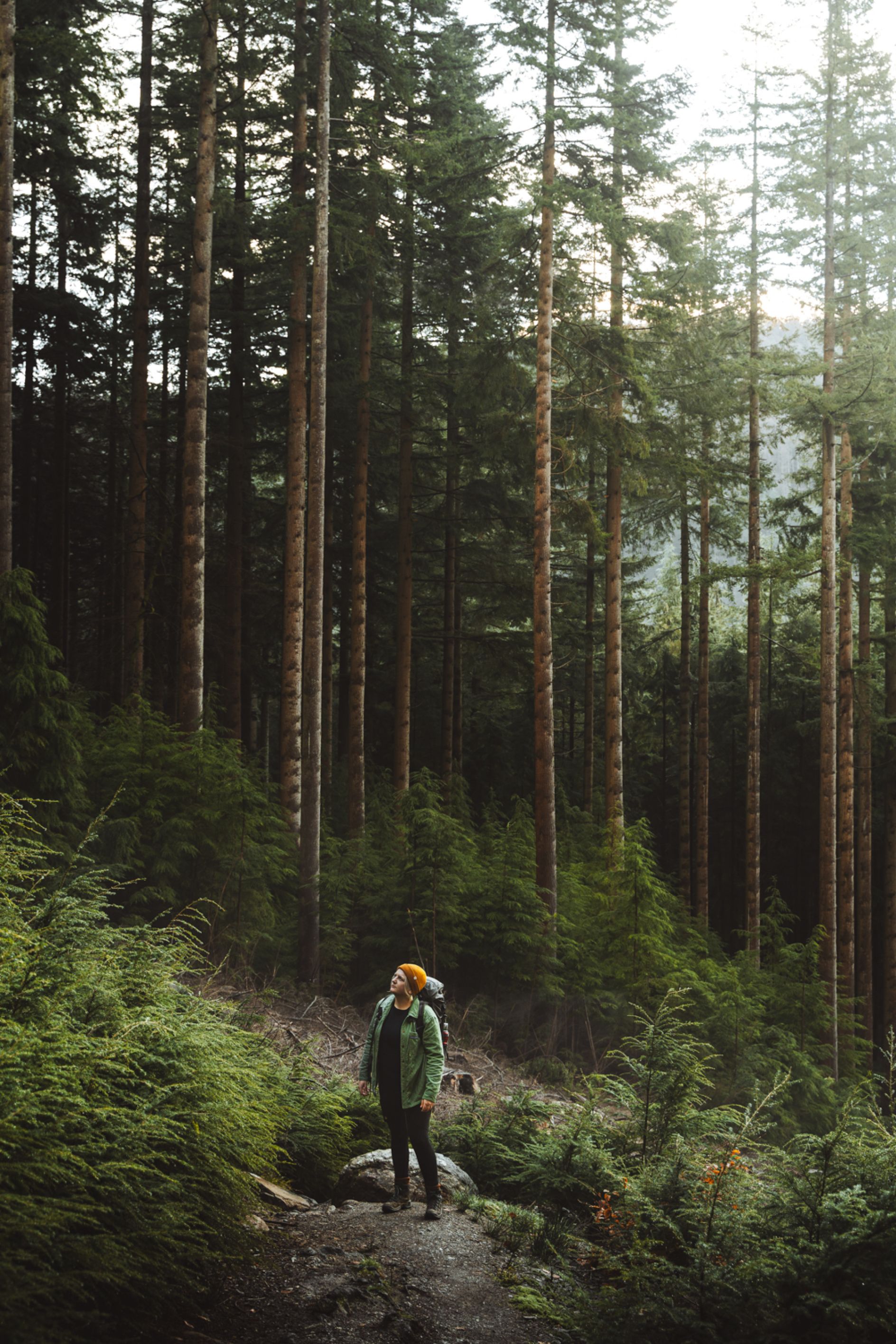 Liz Schaffer's breathtaking new book encourages you to explore the ...