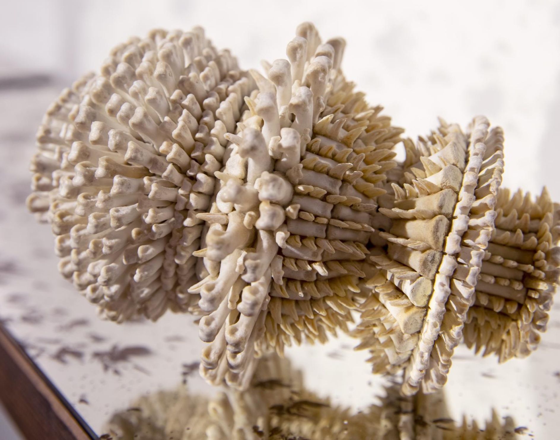 Emma Witter on why she turns discarded animal bones into intricate ...
