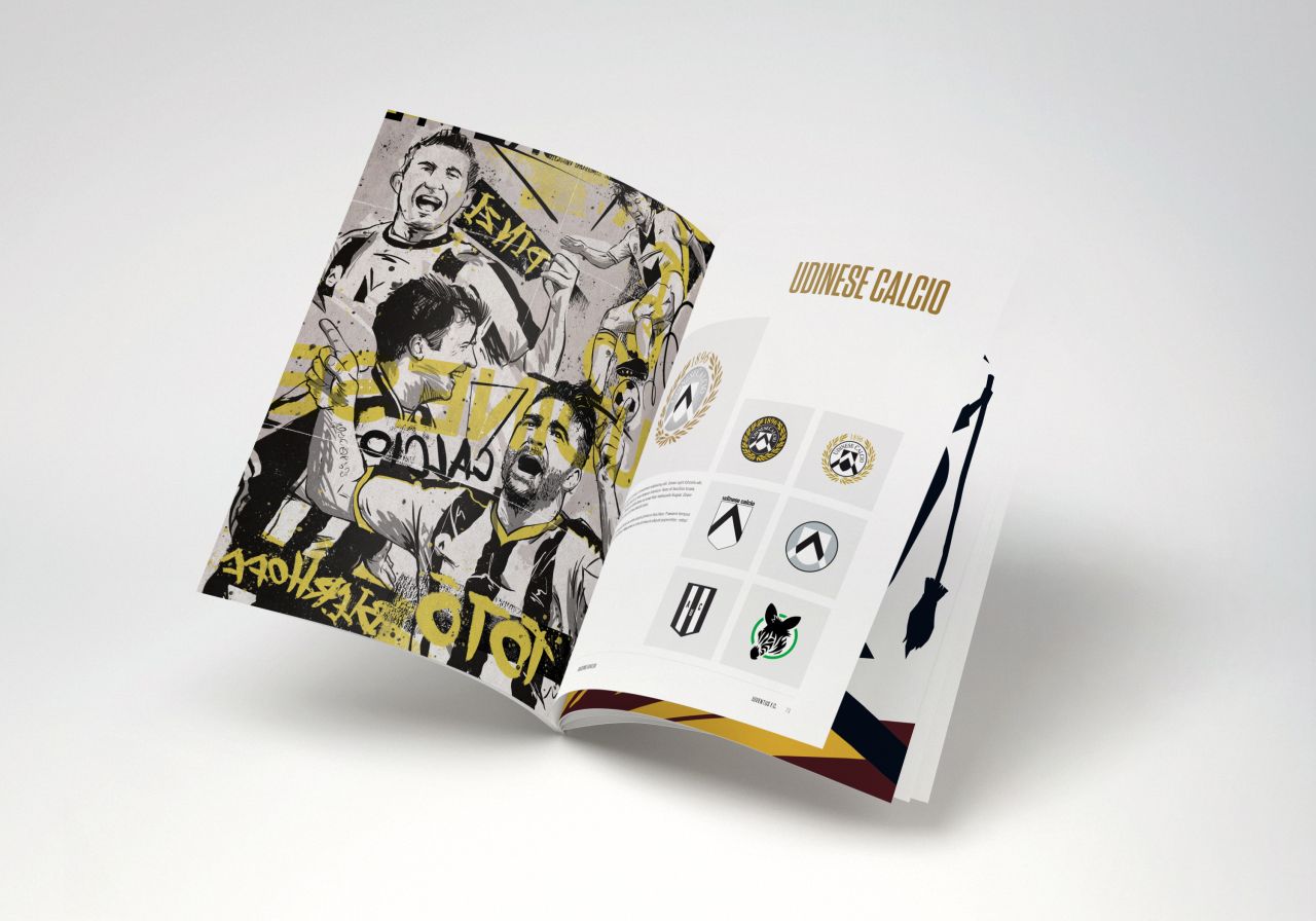 Football Crest Index: exploring the evolution of crest design in the ...