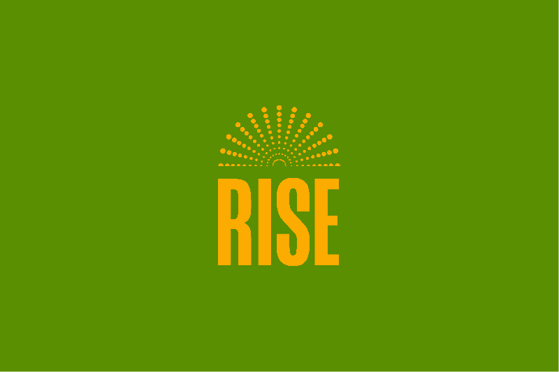 Need's 'suffragette-inspired' identity for Rise, a charity that helps ...