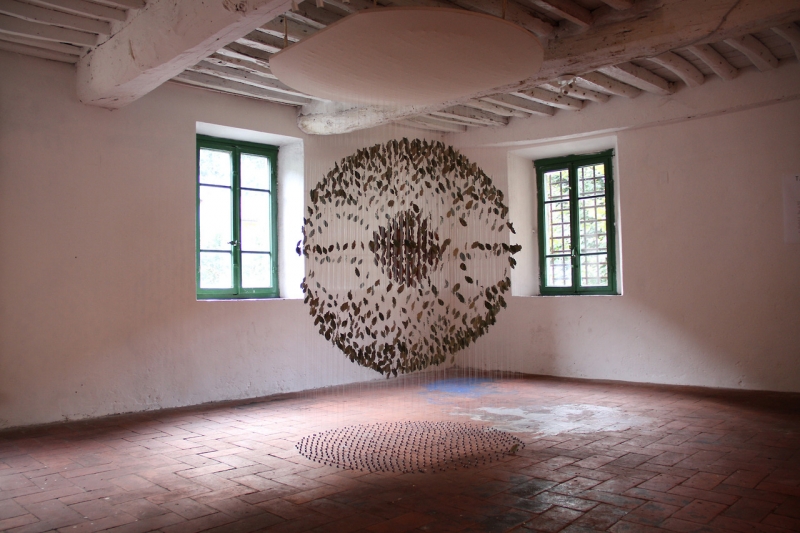 Taming the Wild isn't an easy thing to achieve but it's conquered here ...