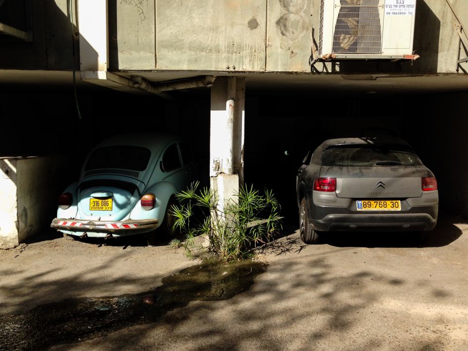 Urban Nature: David Goldstein shows the beauty of cities coexisting ...