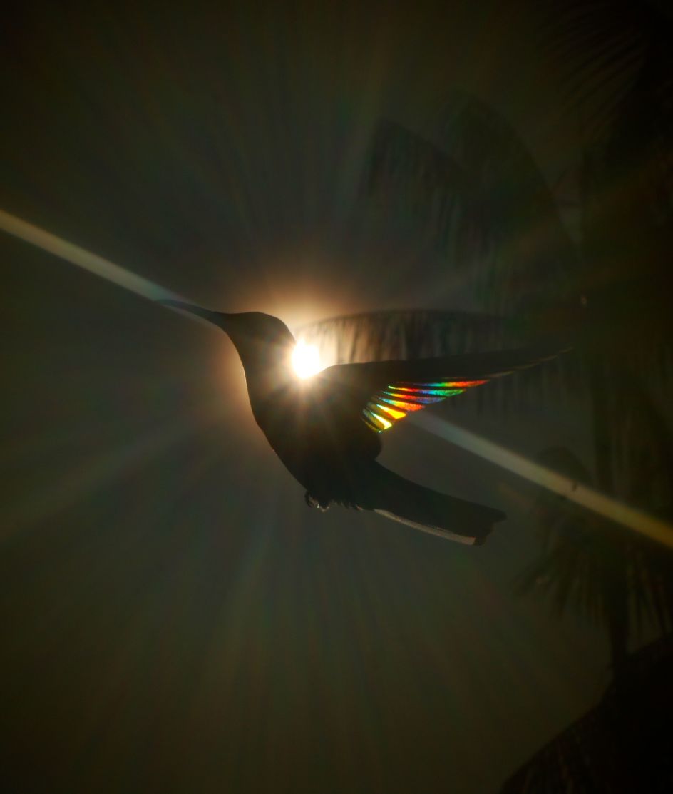 Photographs that capture the rainbow prism-effect of sunlight passing ...