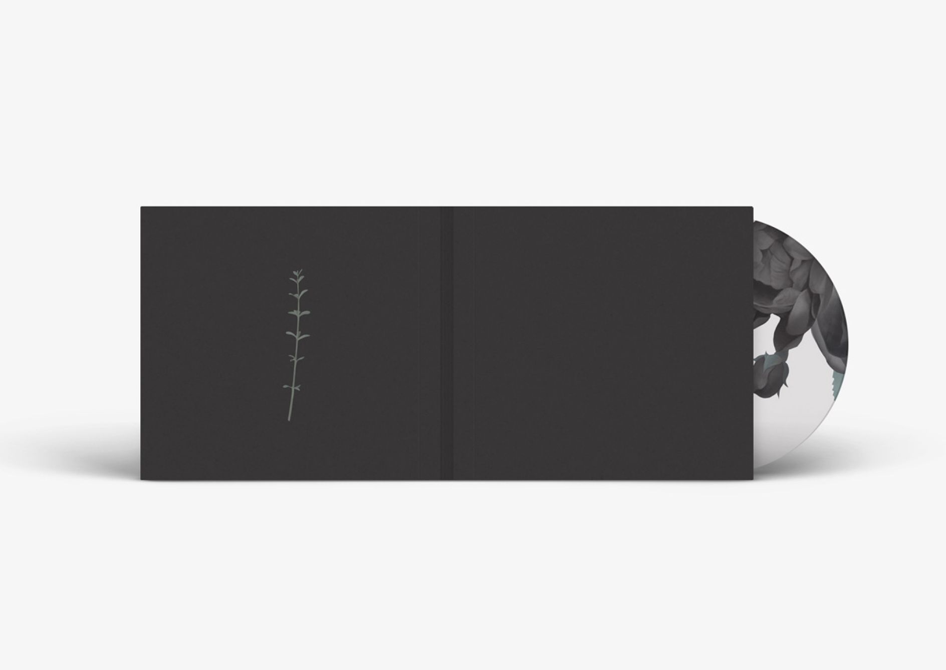 Hsiao-Ron Cheng & Jay Guan-Jie Peng collaborate to design new album for ...