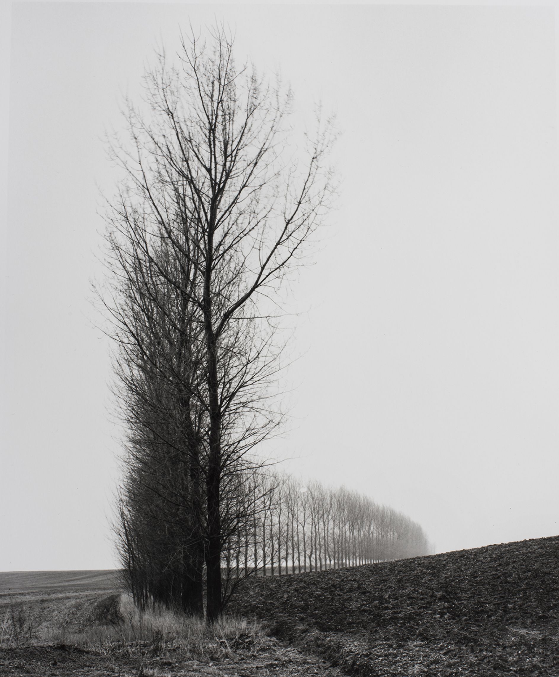 Echoes of the Great War: Haunting contemporary photography by Peter ...