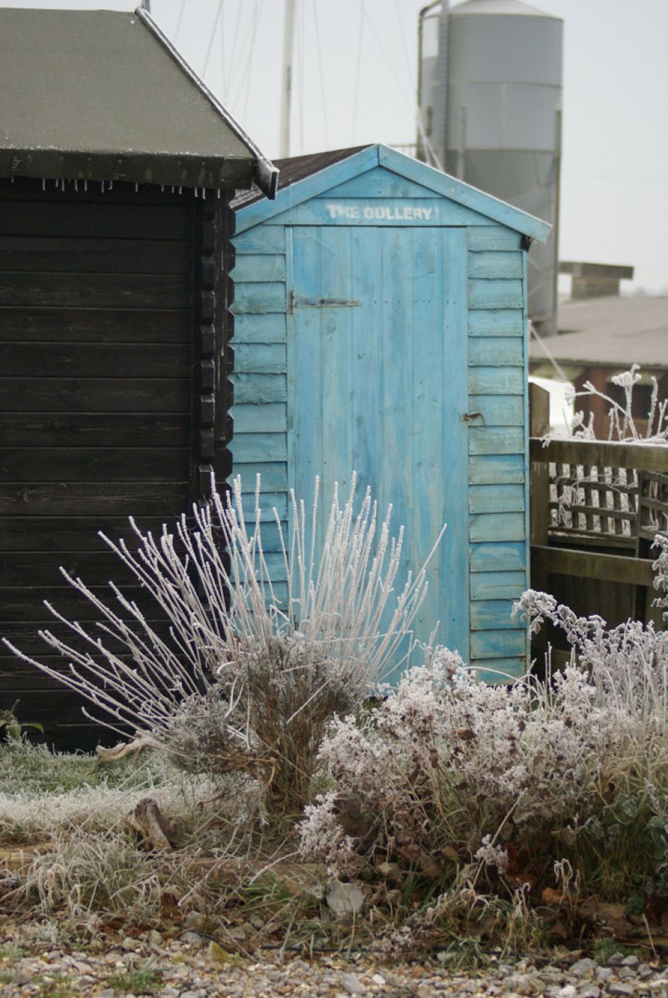 Bristol artist Alison Jacobs uses her garden shed as her home studio ...