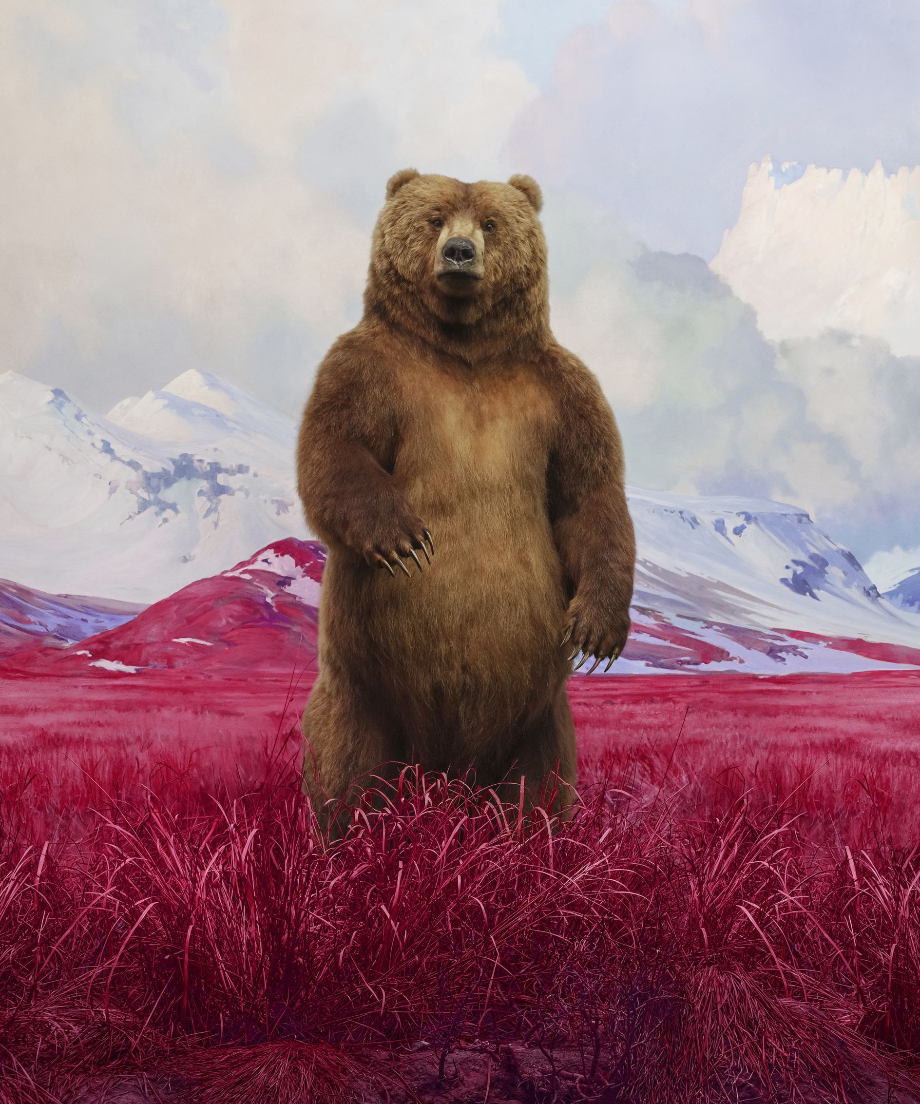 Jim Naughten's surreal 'digital paintings' highlight the perilous state ...