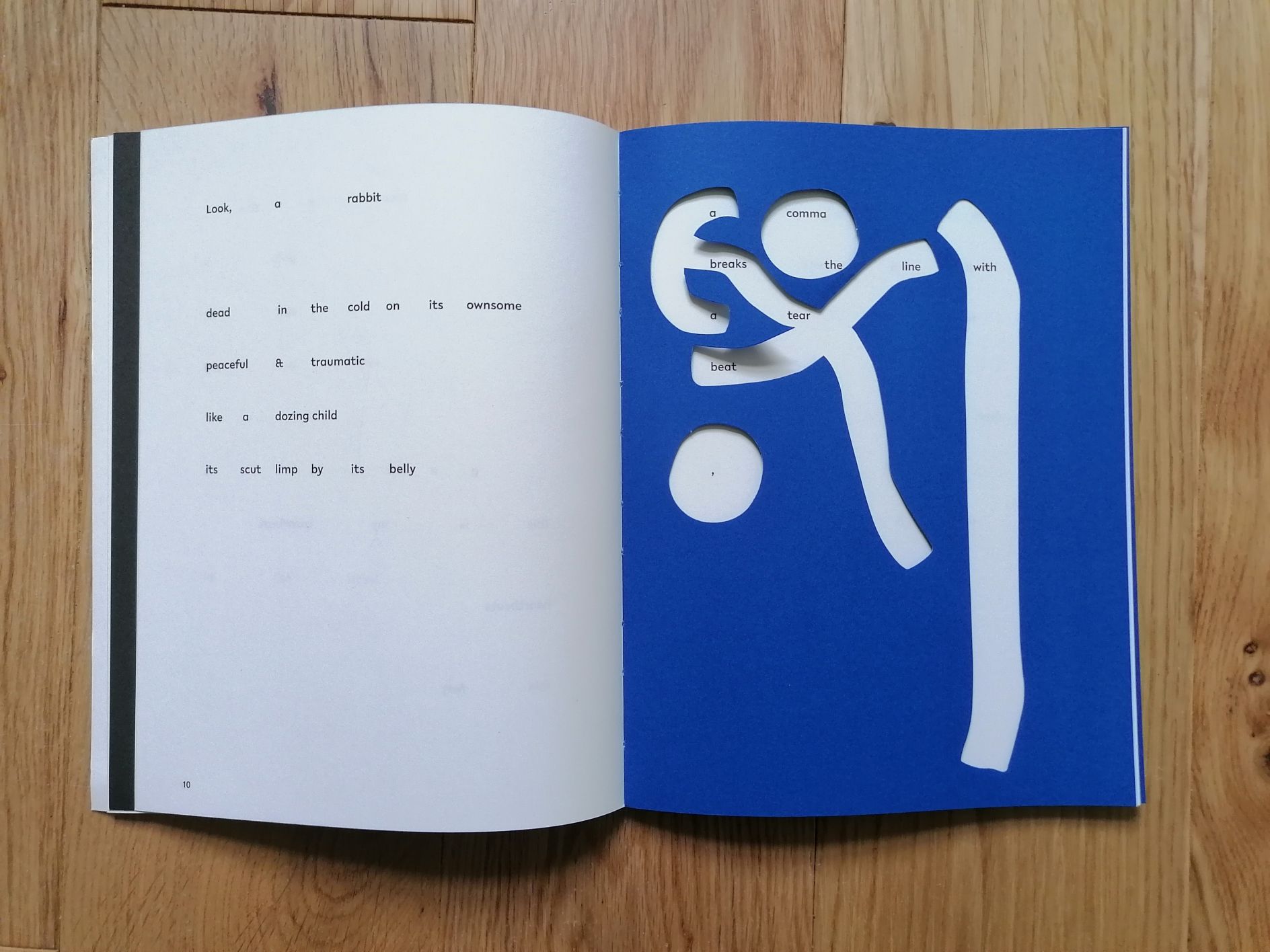 Little Dead Rabbit: playful poetry book finds new ways to balance text ...