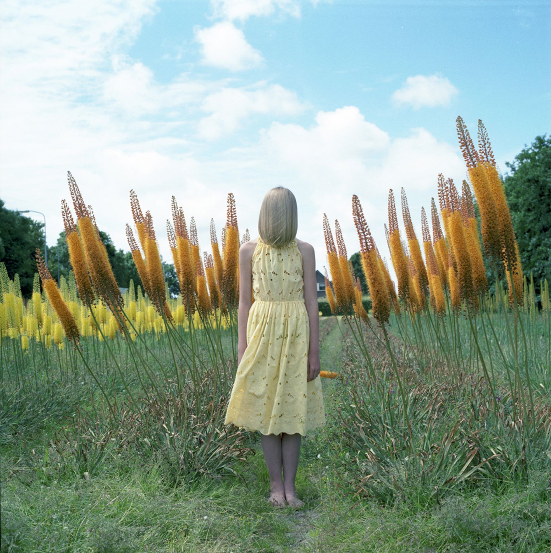 Untitled: Photographer Hellen van Meene captures unsettling portraits ...