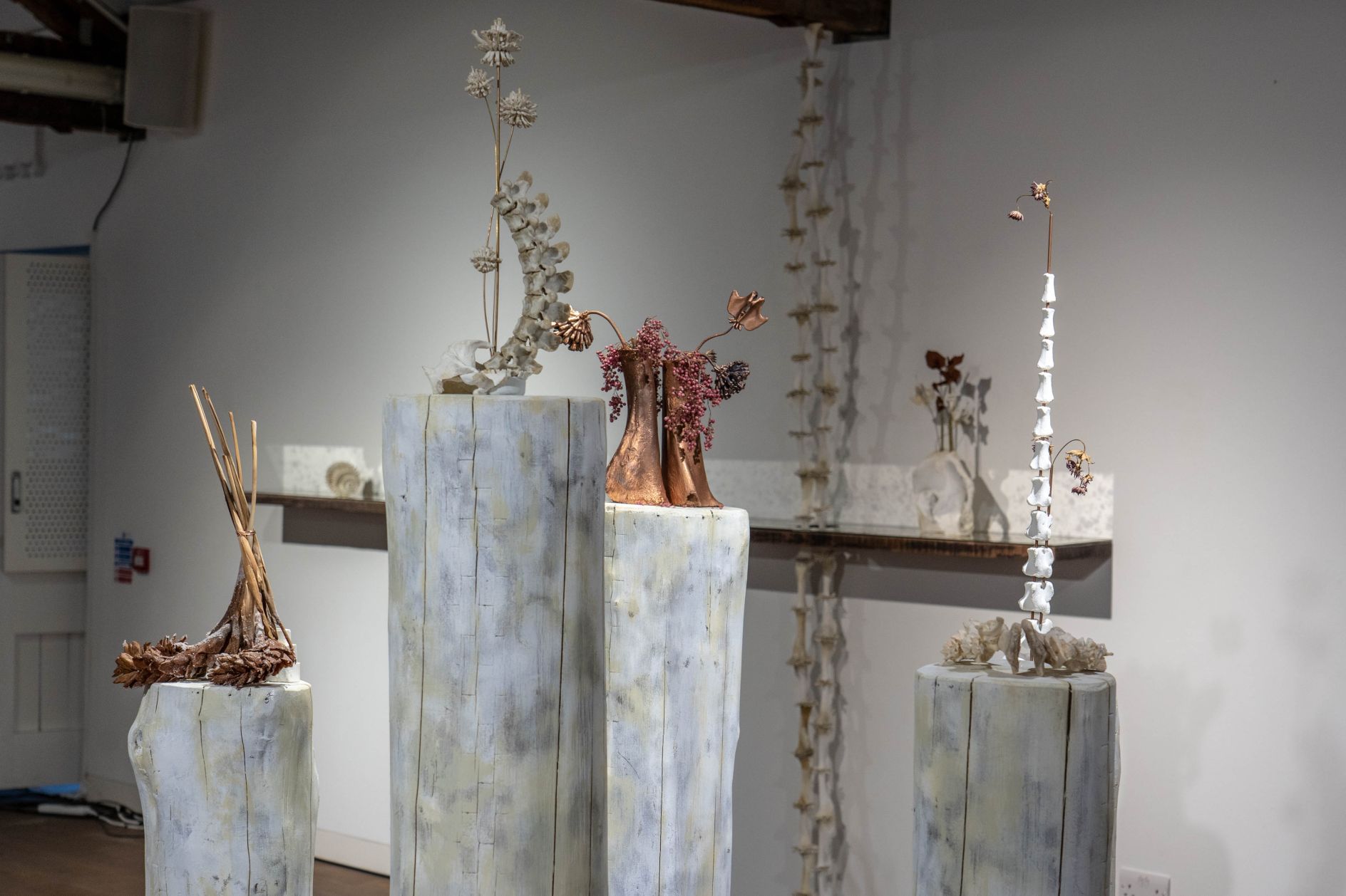Emma Witter on why she turns discarded animal bones into intricate ...