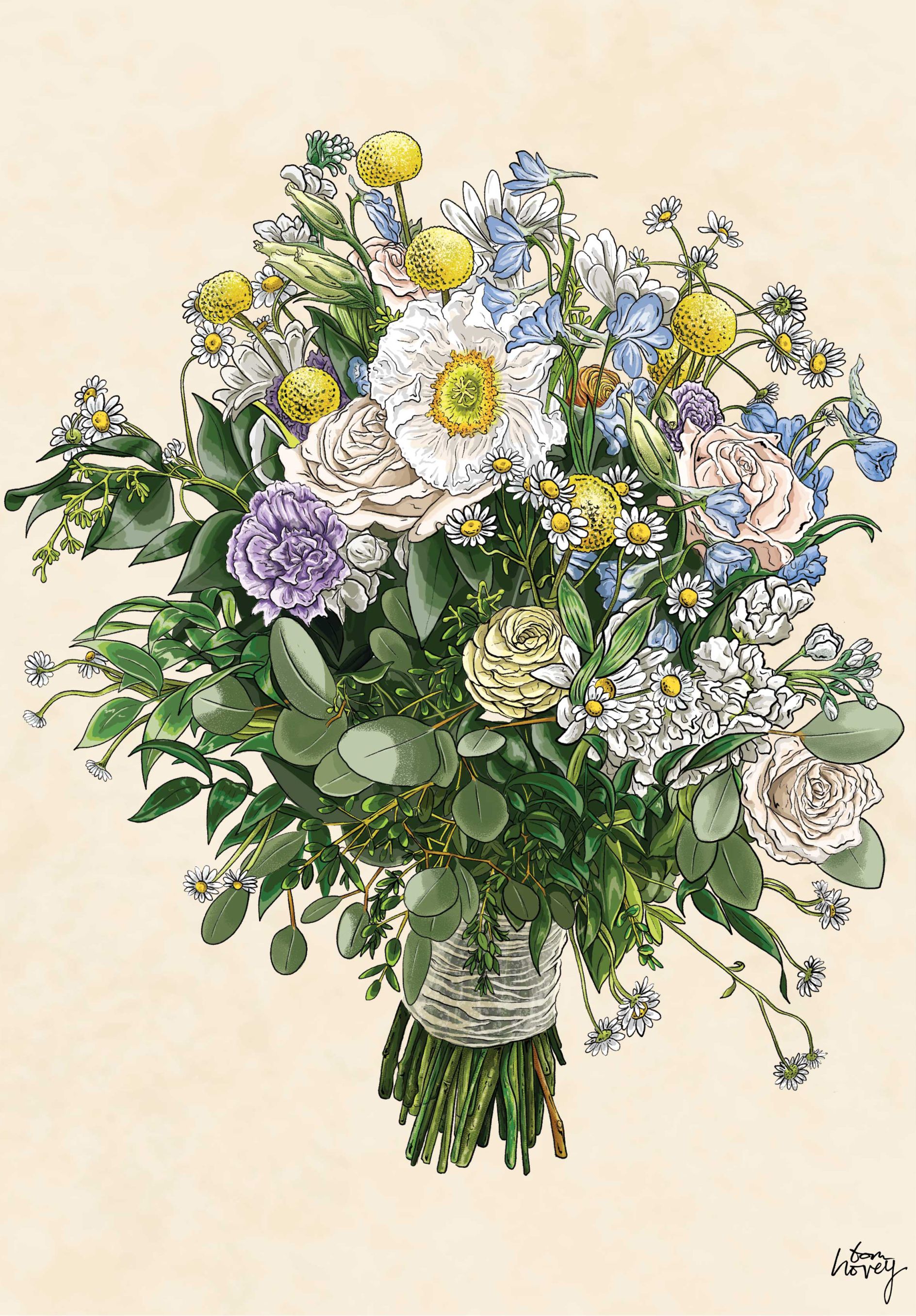 Food illustrator Tom Hovey talks Bake Off, Bristol and building a ...