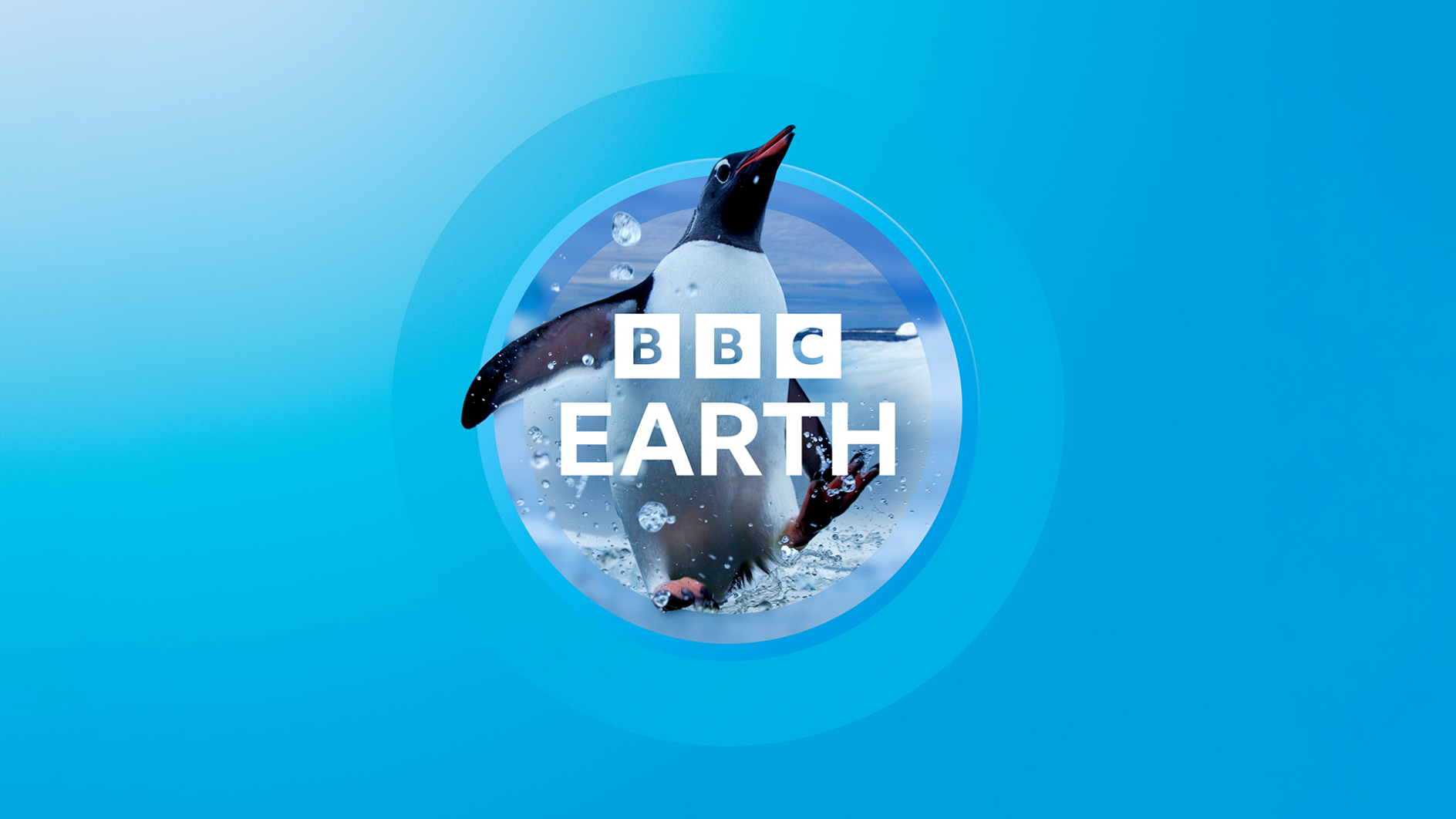 New logo for BBC Earth repositions the global brand as a 'Window to the ...