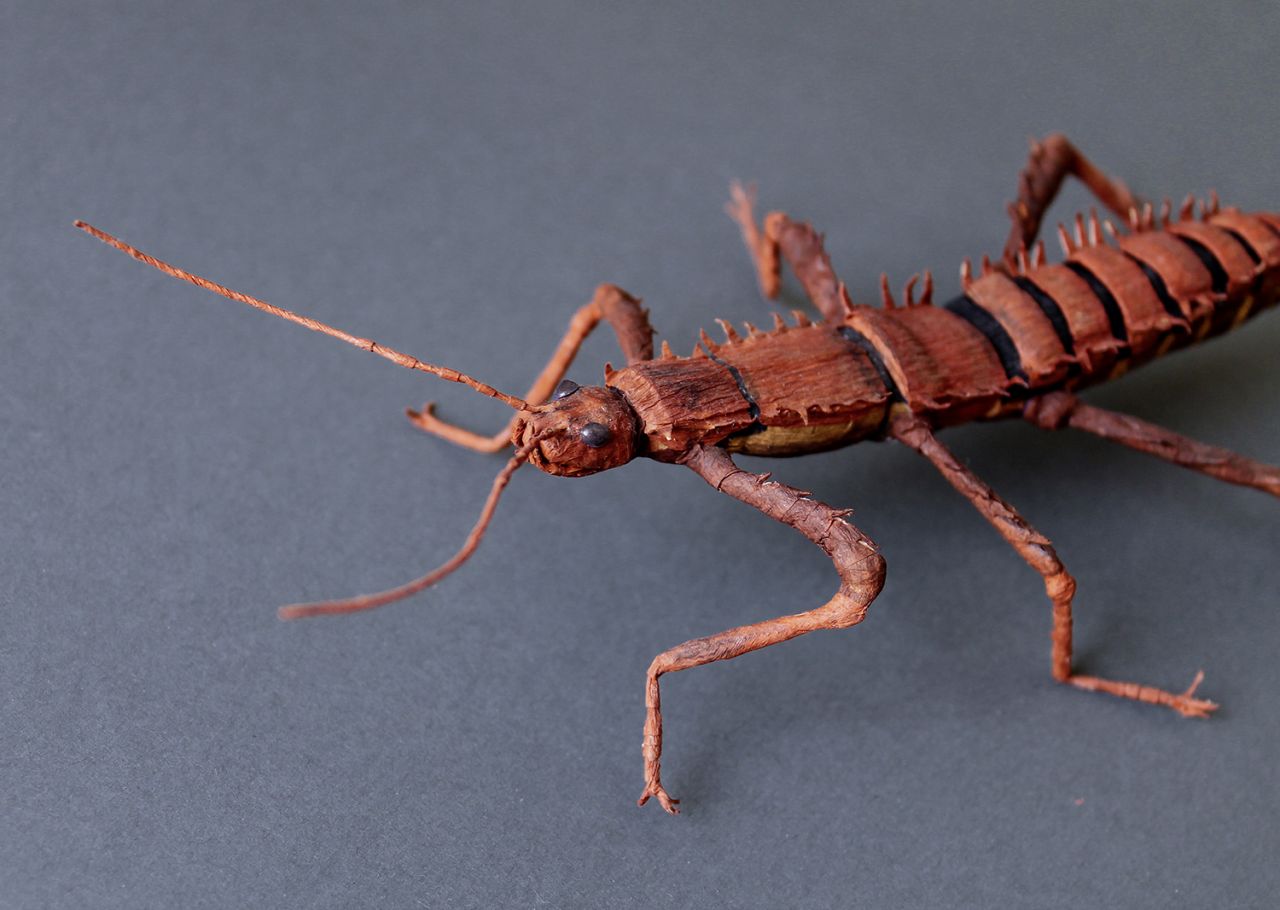 Life-like paper insects painstakingly made from fine crepe paper ...