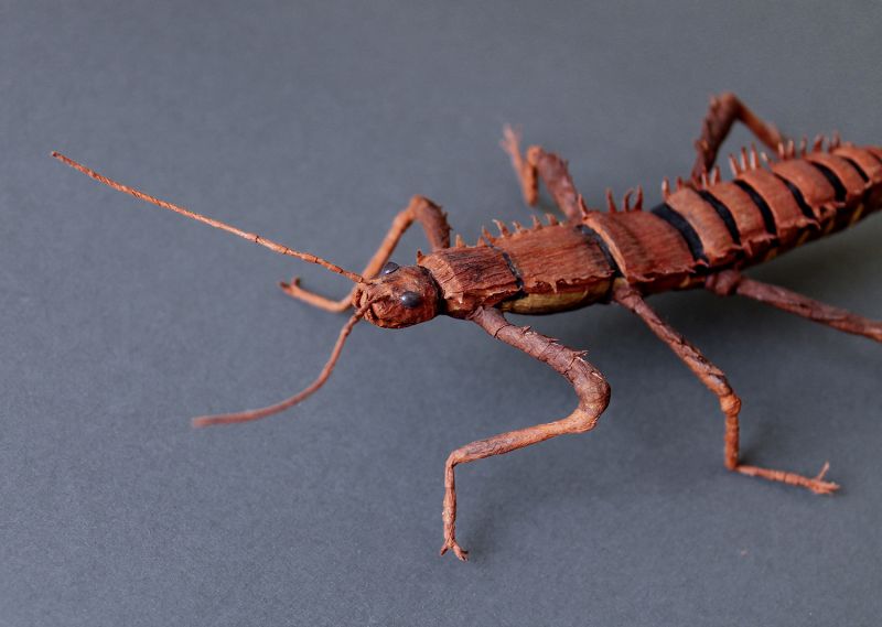 Life-like paper insects painstakingly made from fine crepe paper ...
