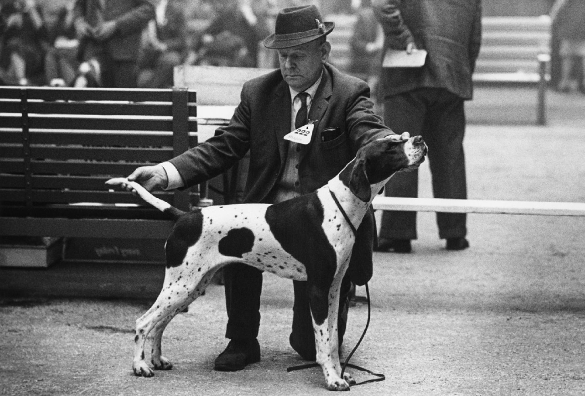 Nostalgic photographs of British dog shows back when the humans ...