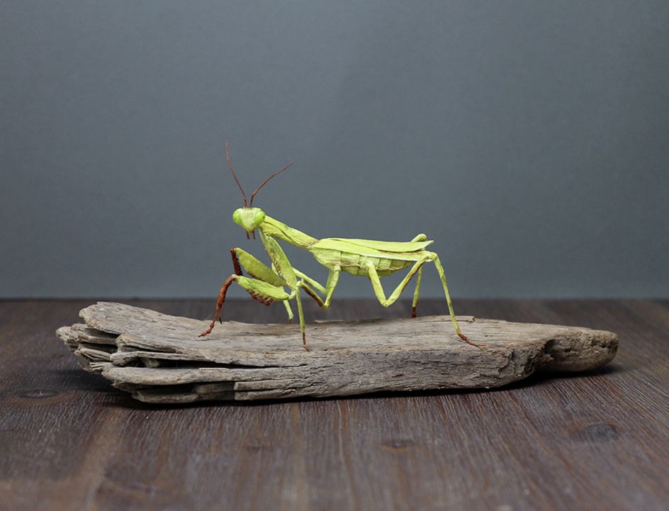 Life-like paper insects painstakingly made from fine crepe paper ...