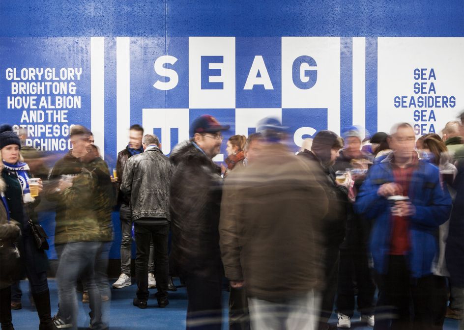 Good news for seagulls fans (the football club, not the bird ...